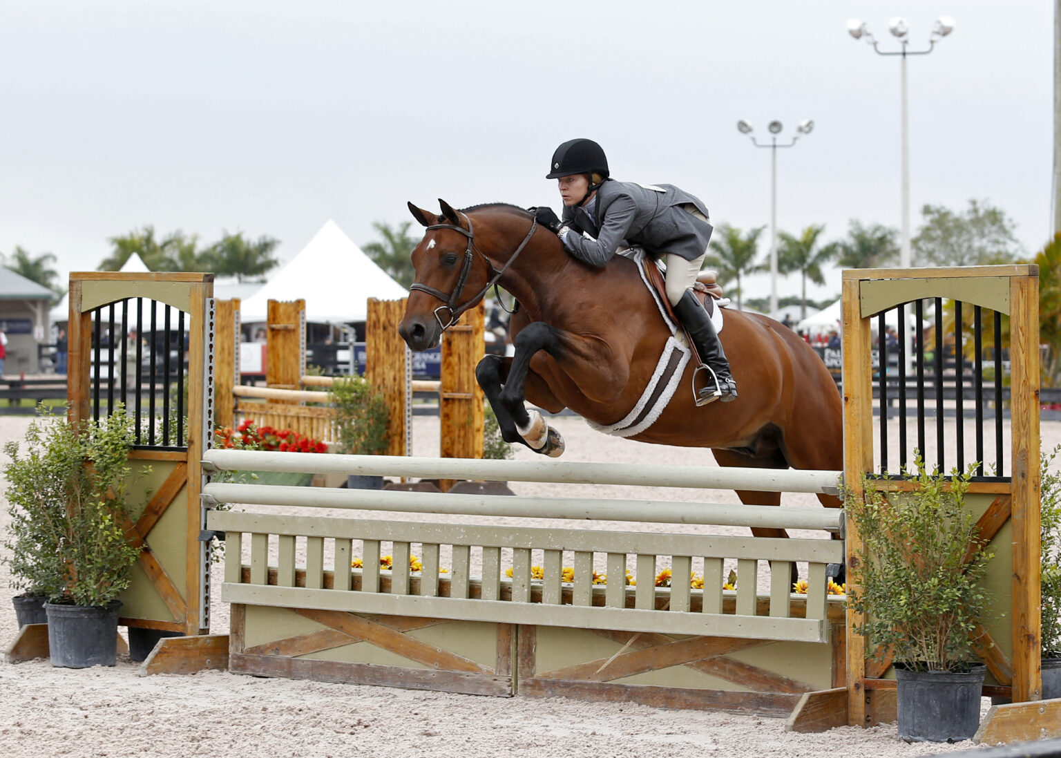 What Makes a Winning Hunter Round