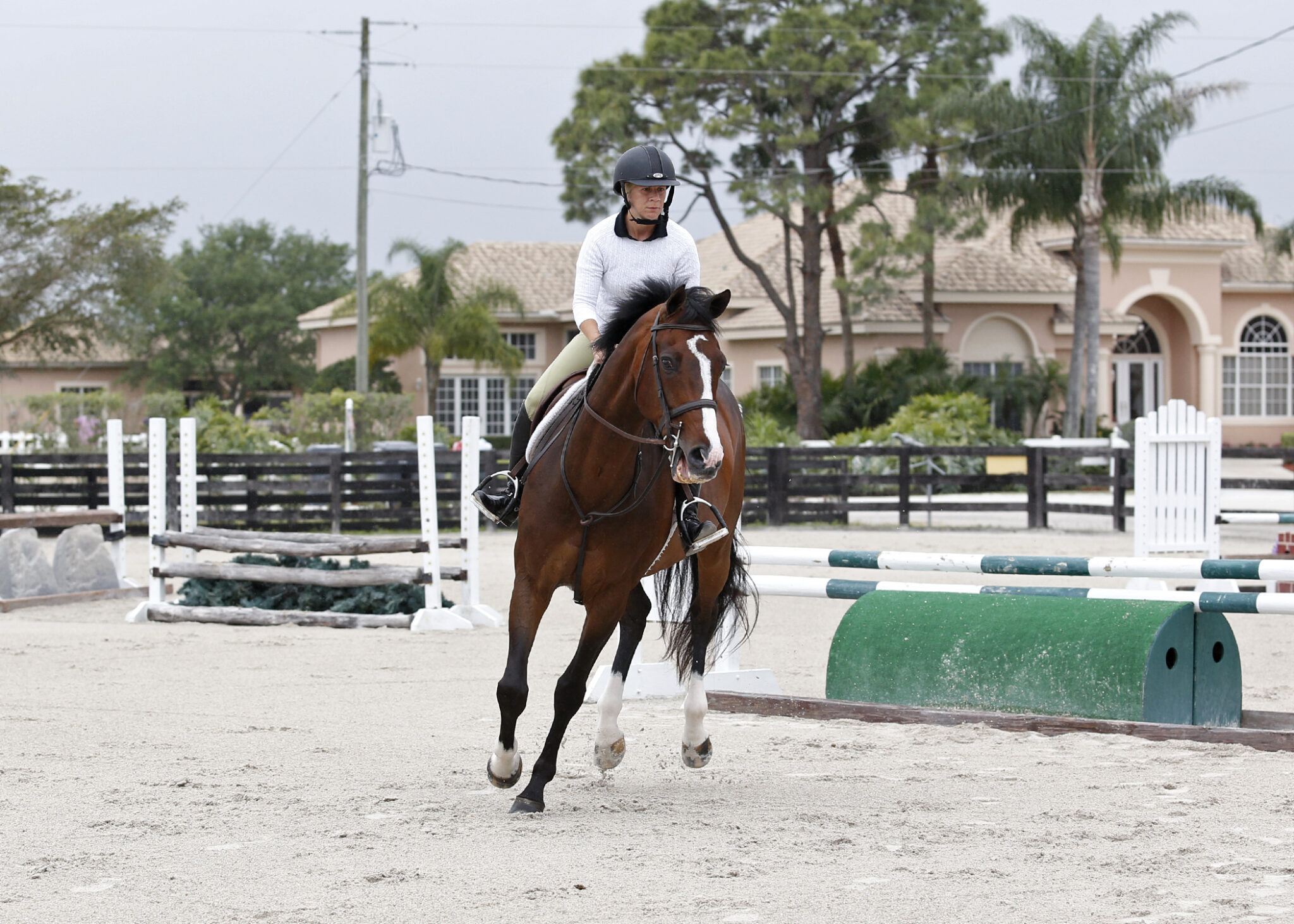 What Makes a Winning Hunter Round