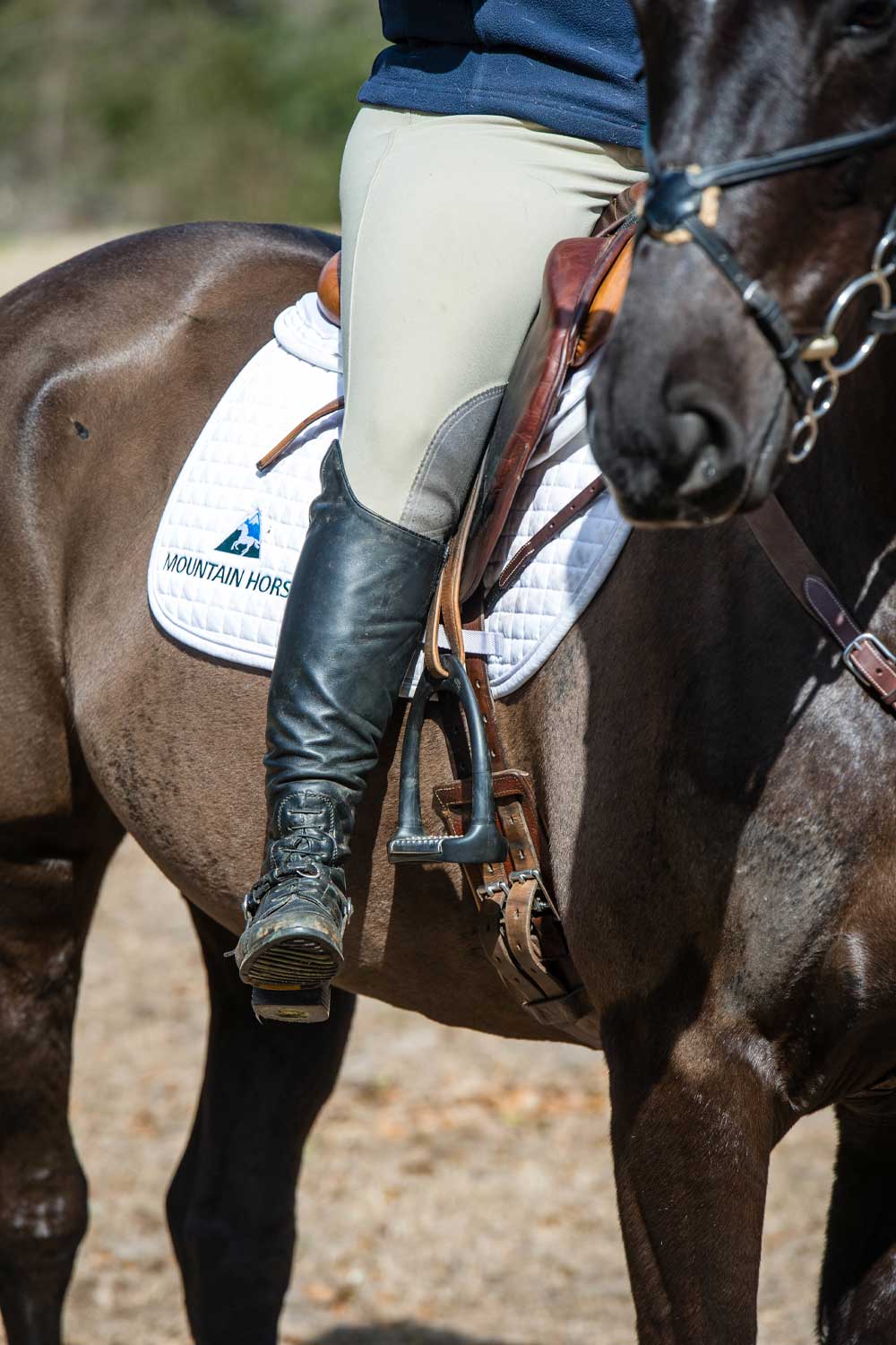 Develop a Strong Galloping Position