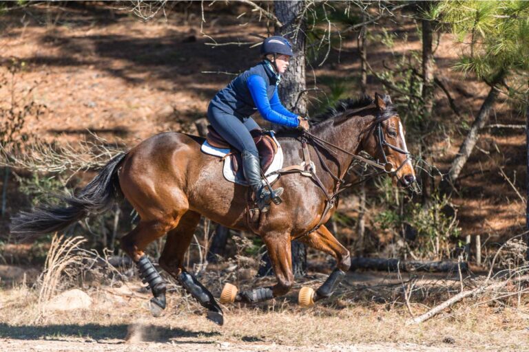 Using Draw Reins and Side Reins