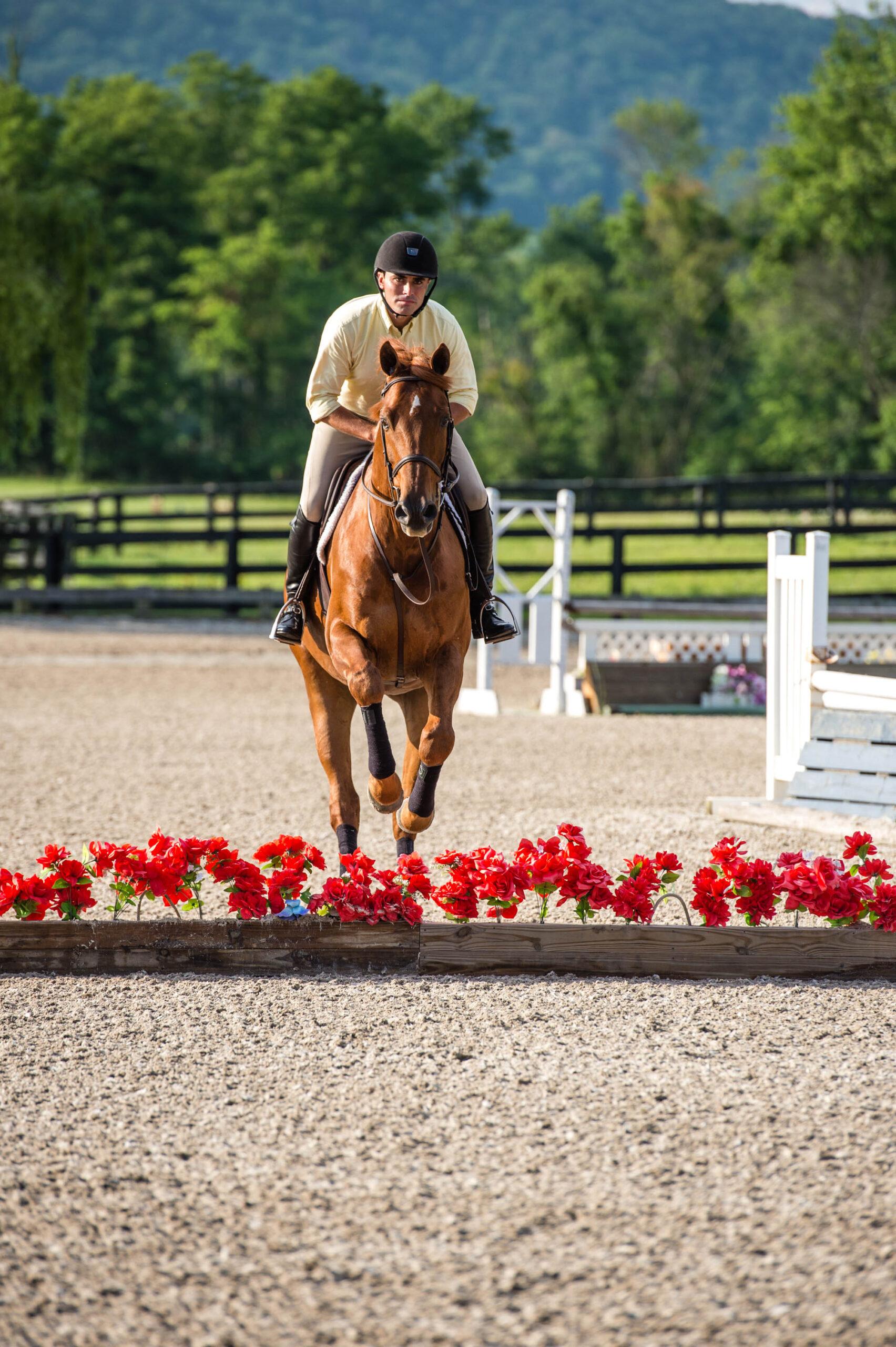 Ride Your Hunter Round Like a Pro