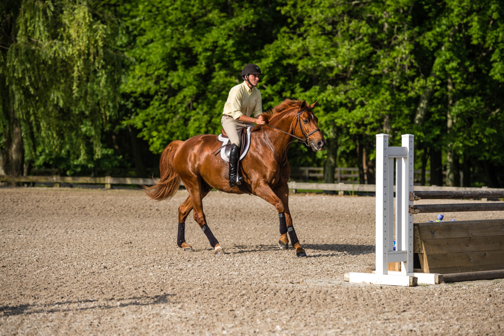 Ride Your Hunter Round Like a Pro