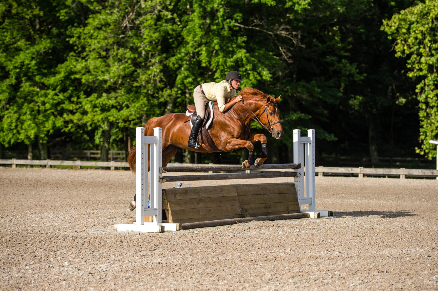 Ride Your Hunter Round Like a Pro