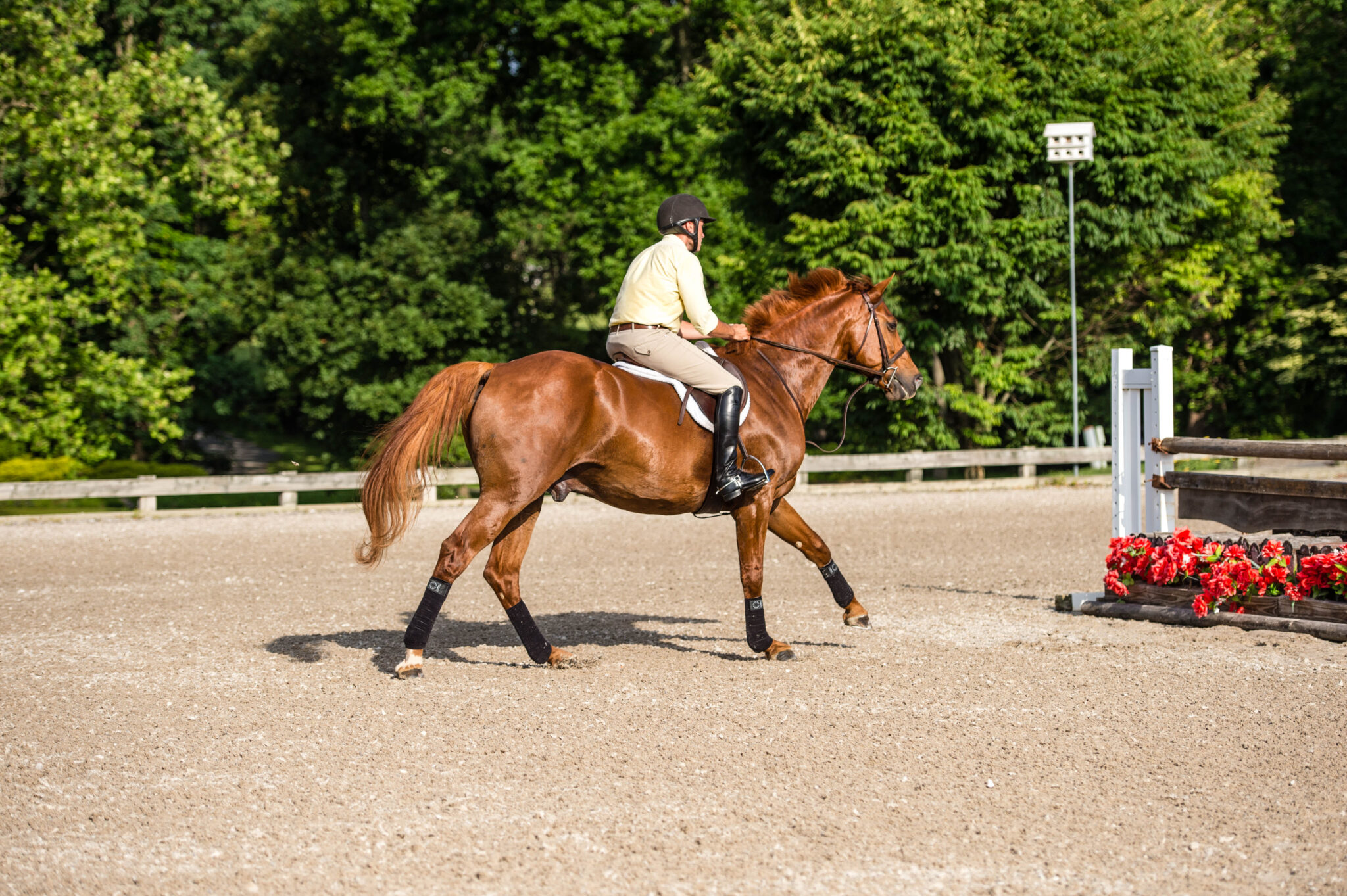 Ride Your Hunter Round Like a Pro