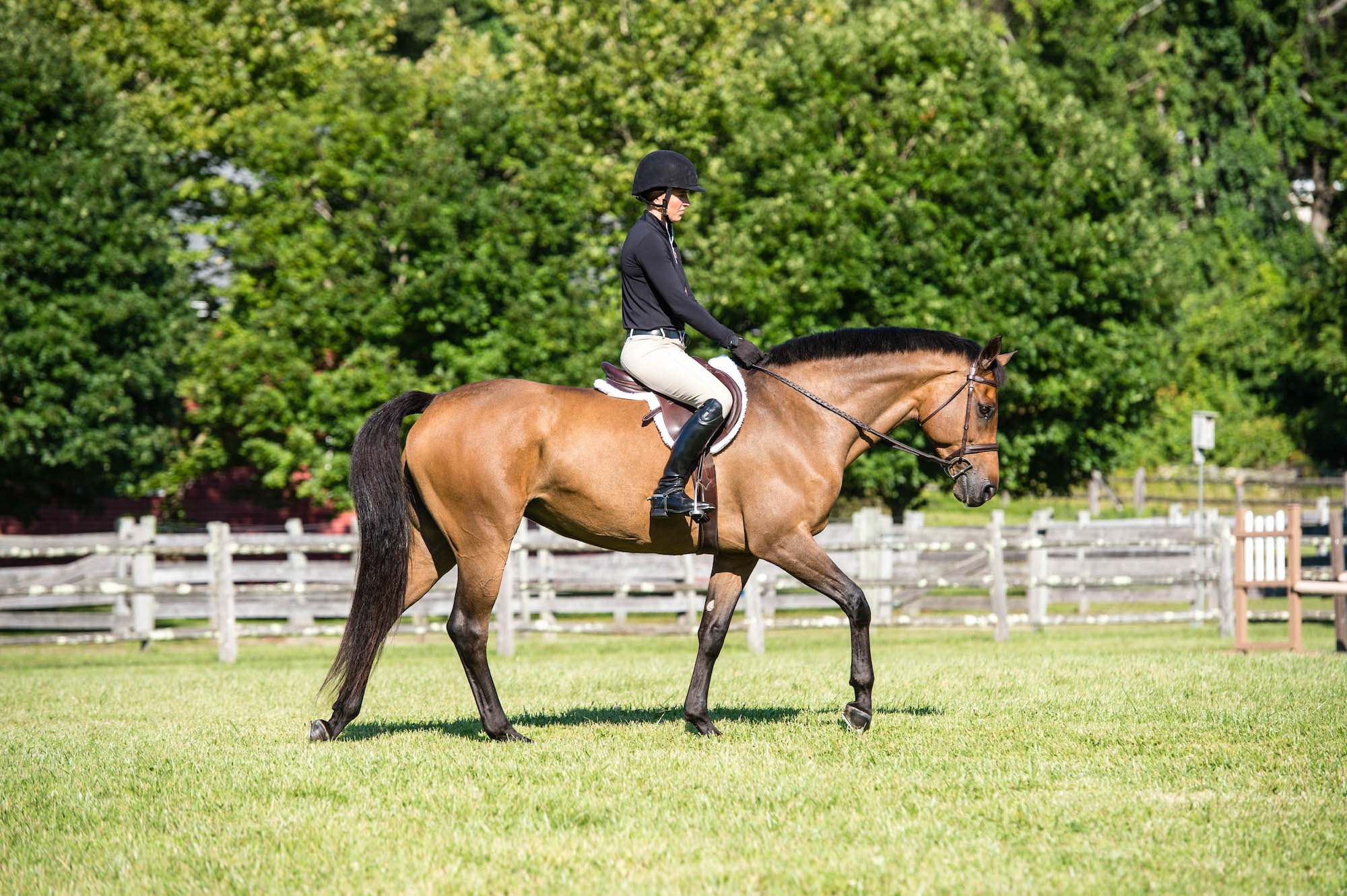 How to Pick the Best Pace for Your Courses