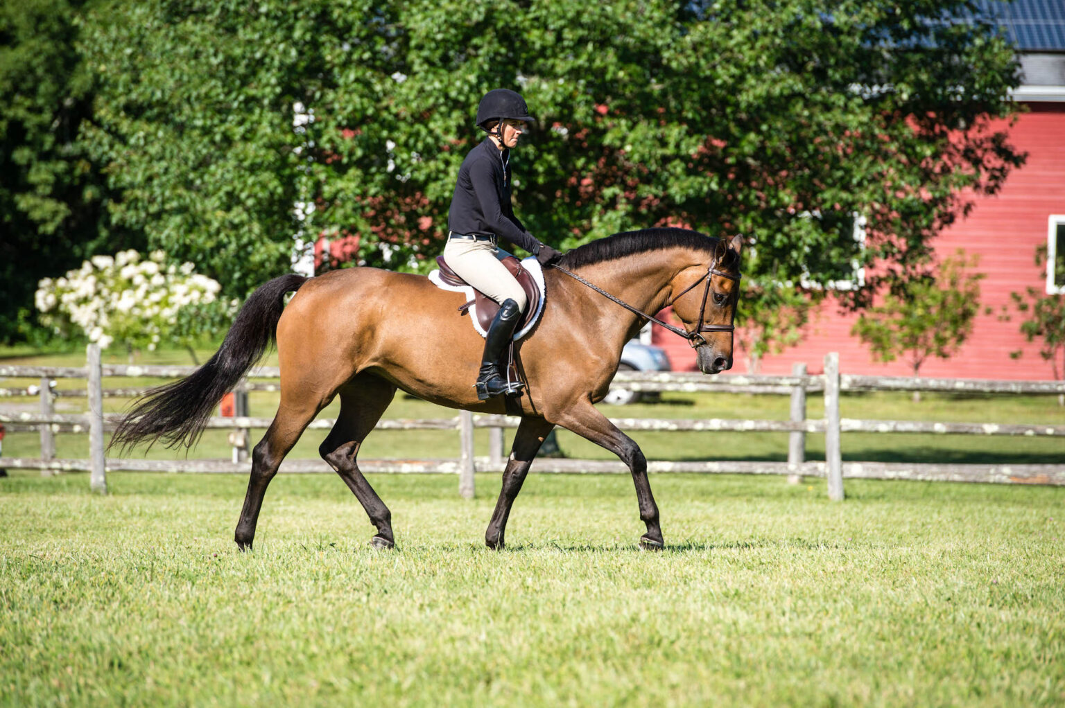 How to Pick the Best Pace for Your Courses