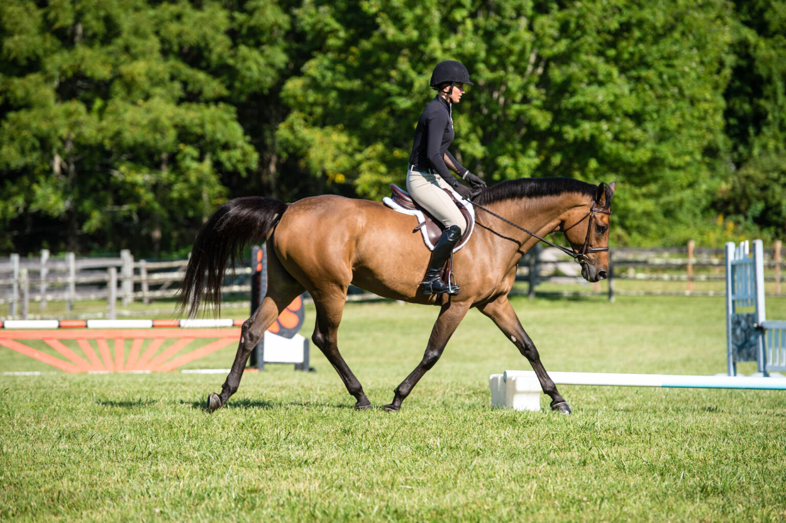 How to Pick the Best Pace for Your Courses