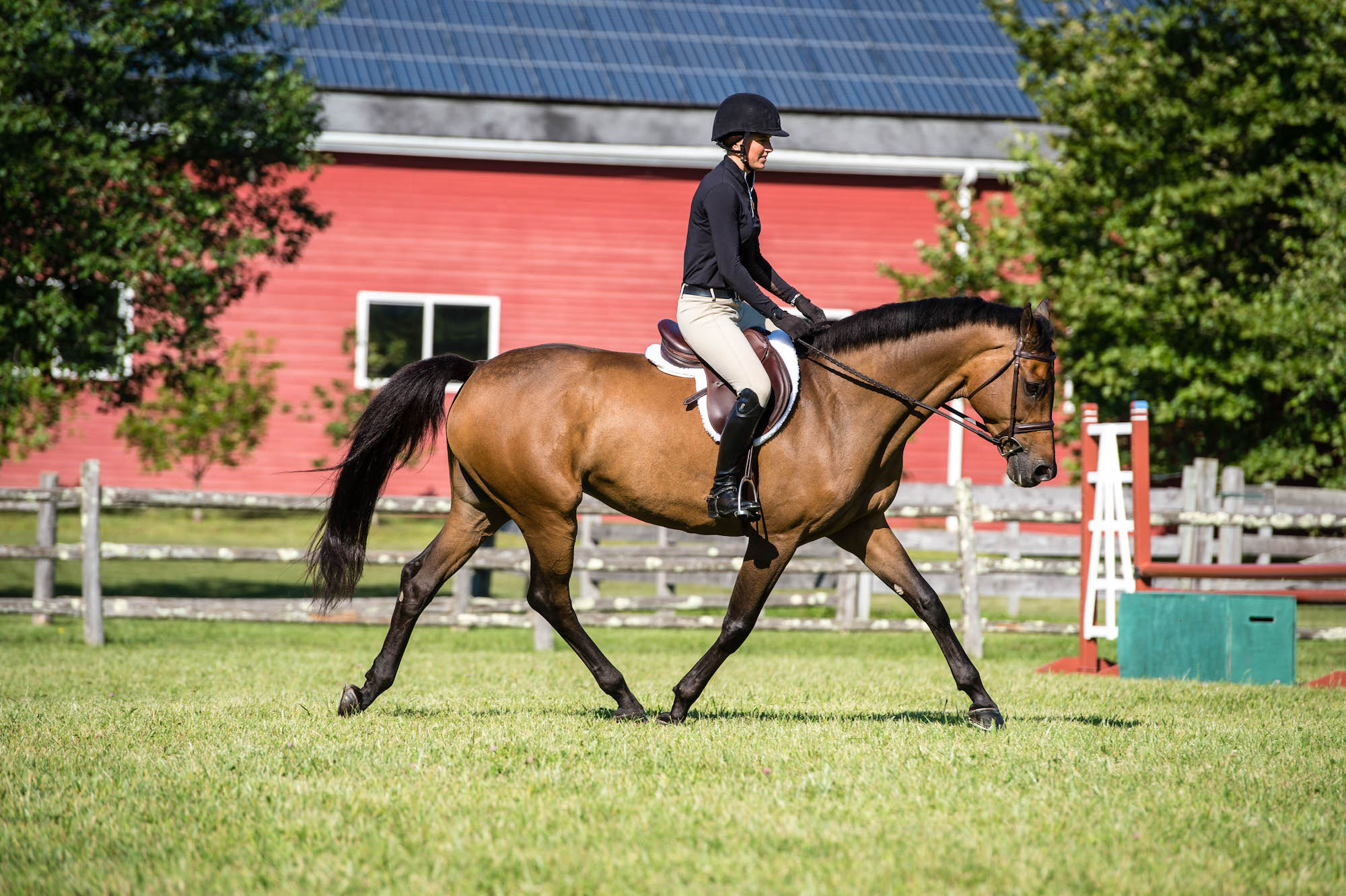 How to Pick the Best Pace for Your Courses