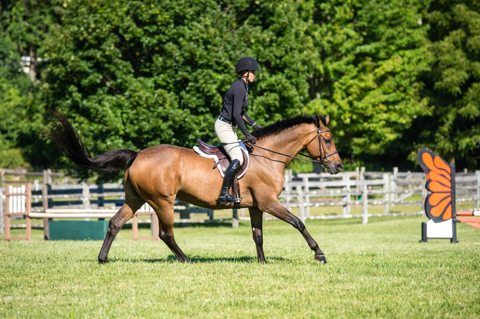 How to Pick the Best Pace for Your Courses