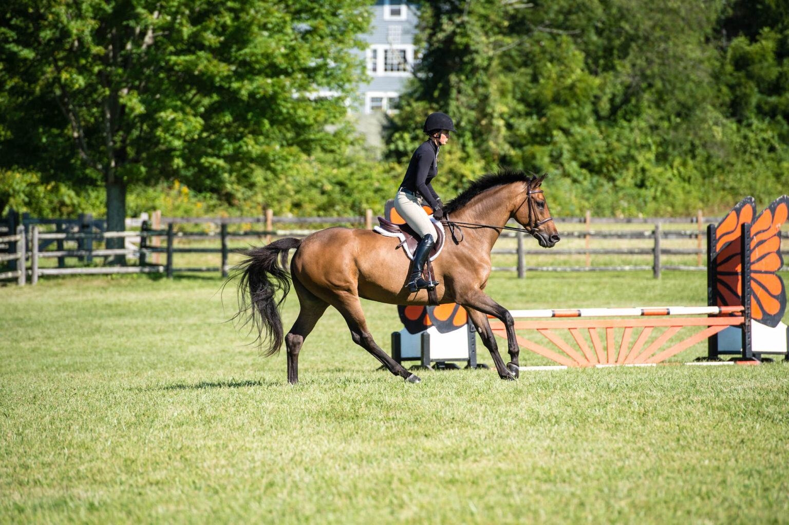 How to Pick the Best Pace for Your Courses