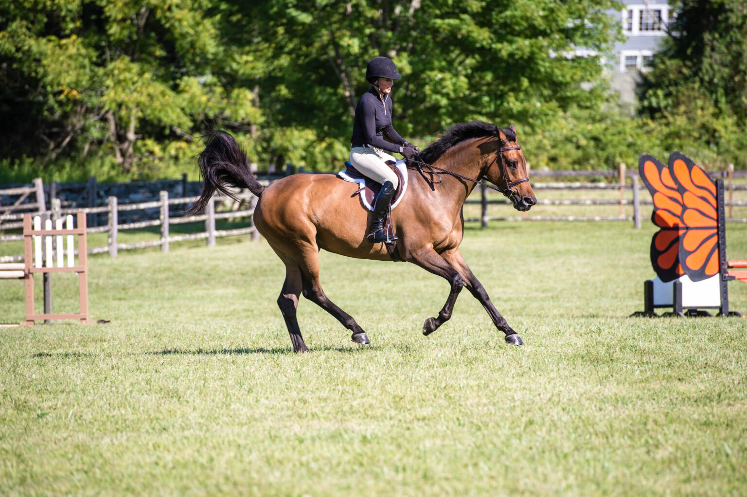 How to Pick the Best Pace for Your Courses