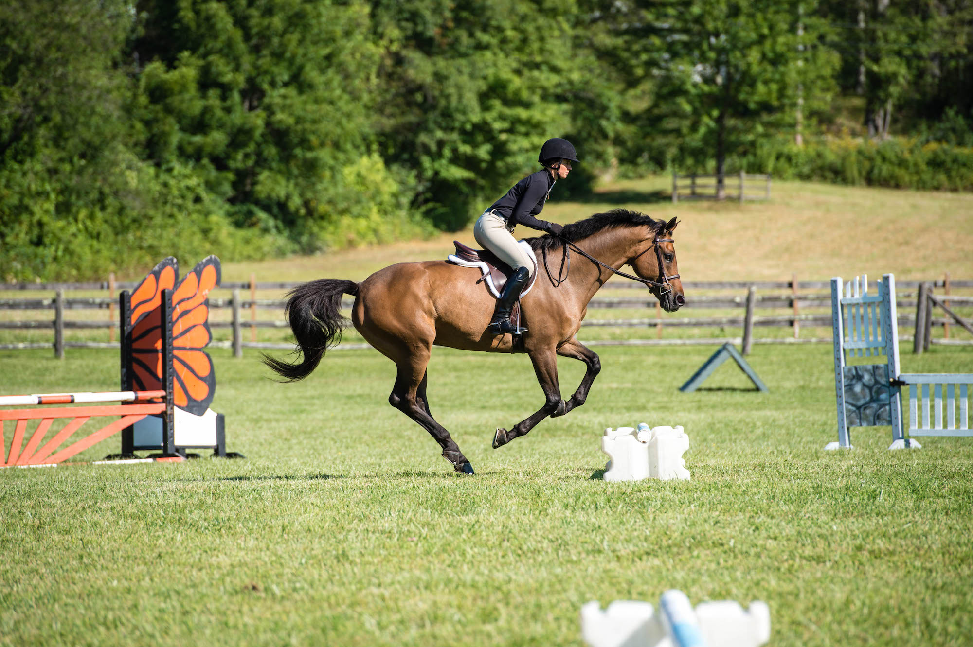 How to Pick the Best Pace for Your Courses