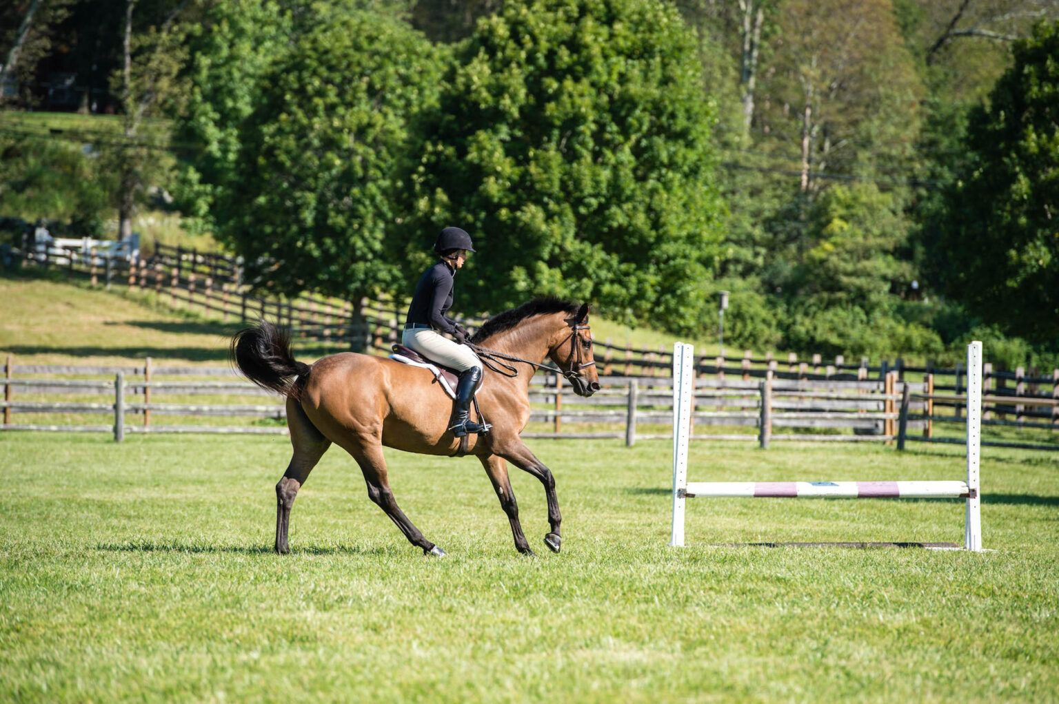 How to Pick the Best Pace for Your Courses