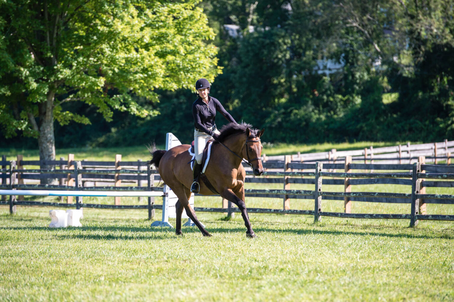 How to Pick the Best Pace for Your Courses