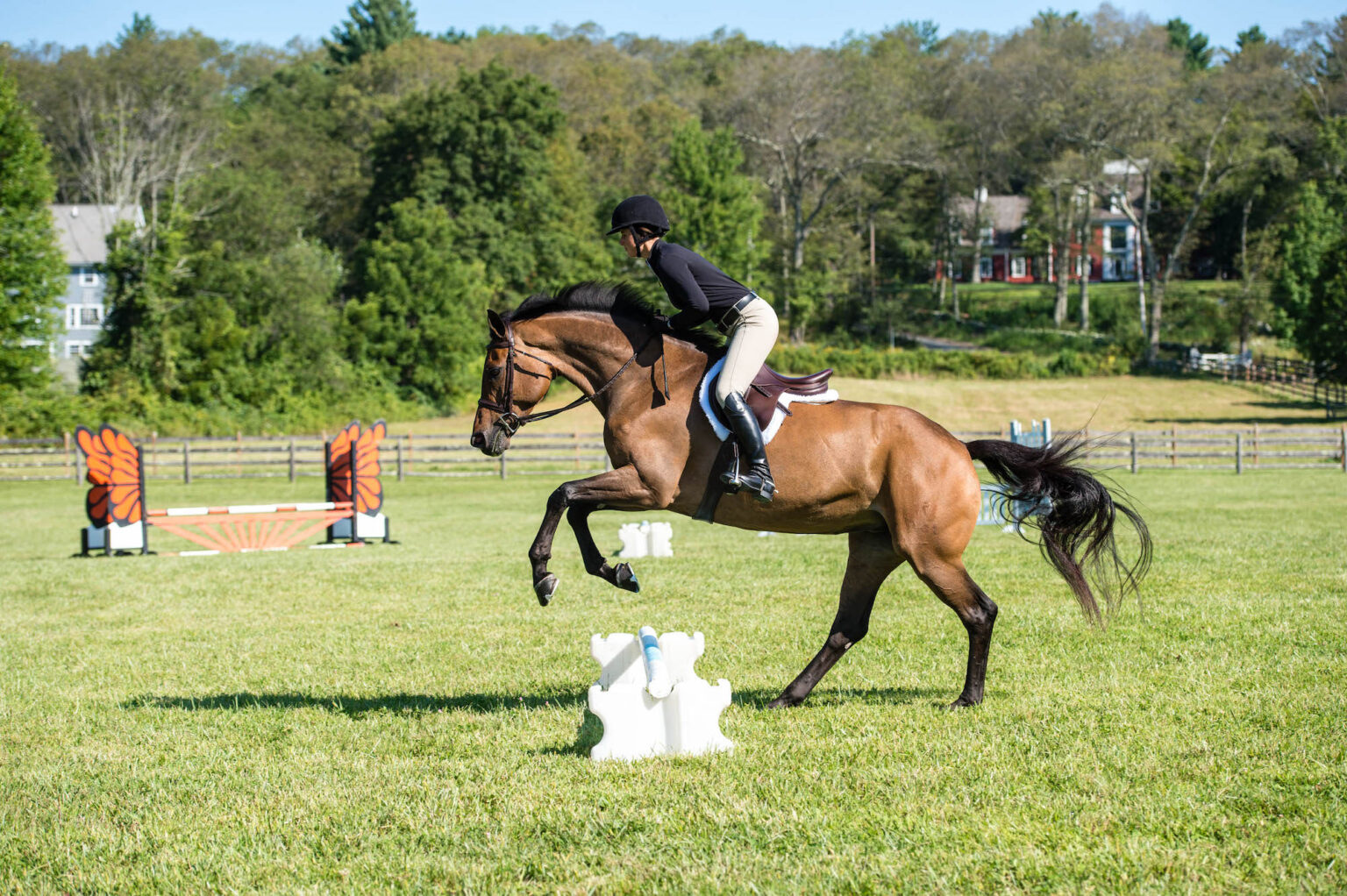 How to Pick the Best Pace for Your Courses