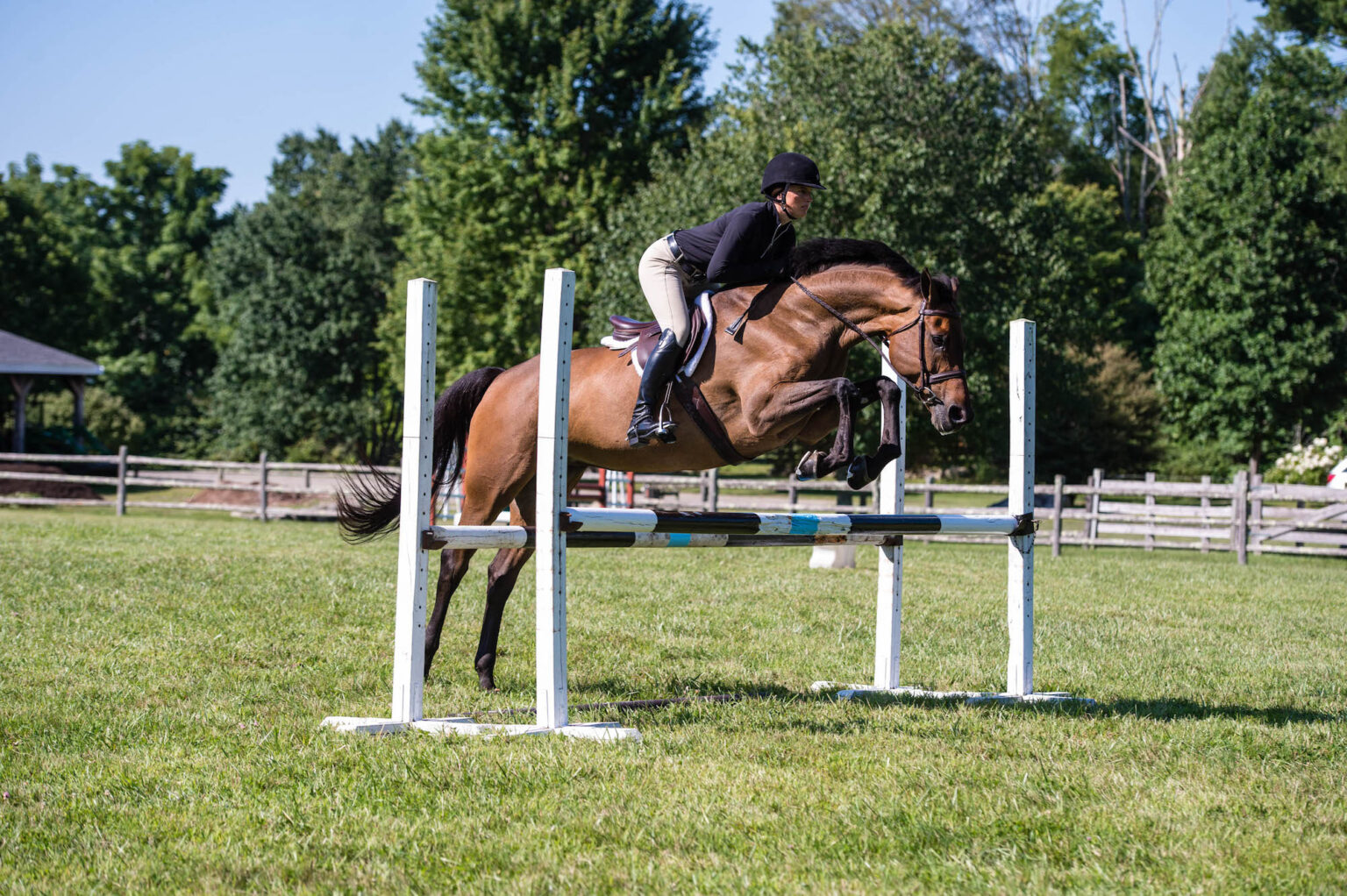 How to Pick the Best Pace for Your Courses