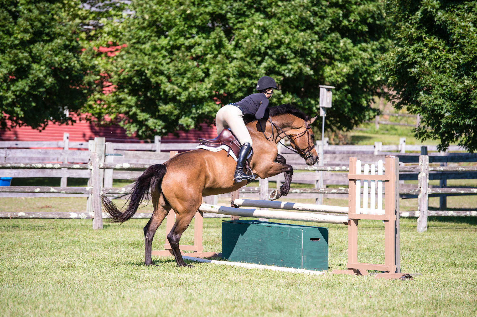 How to Pick the Best Pace for Your Courses