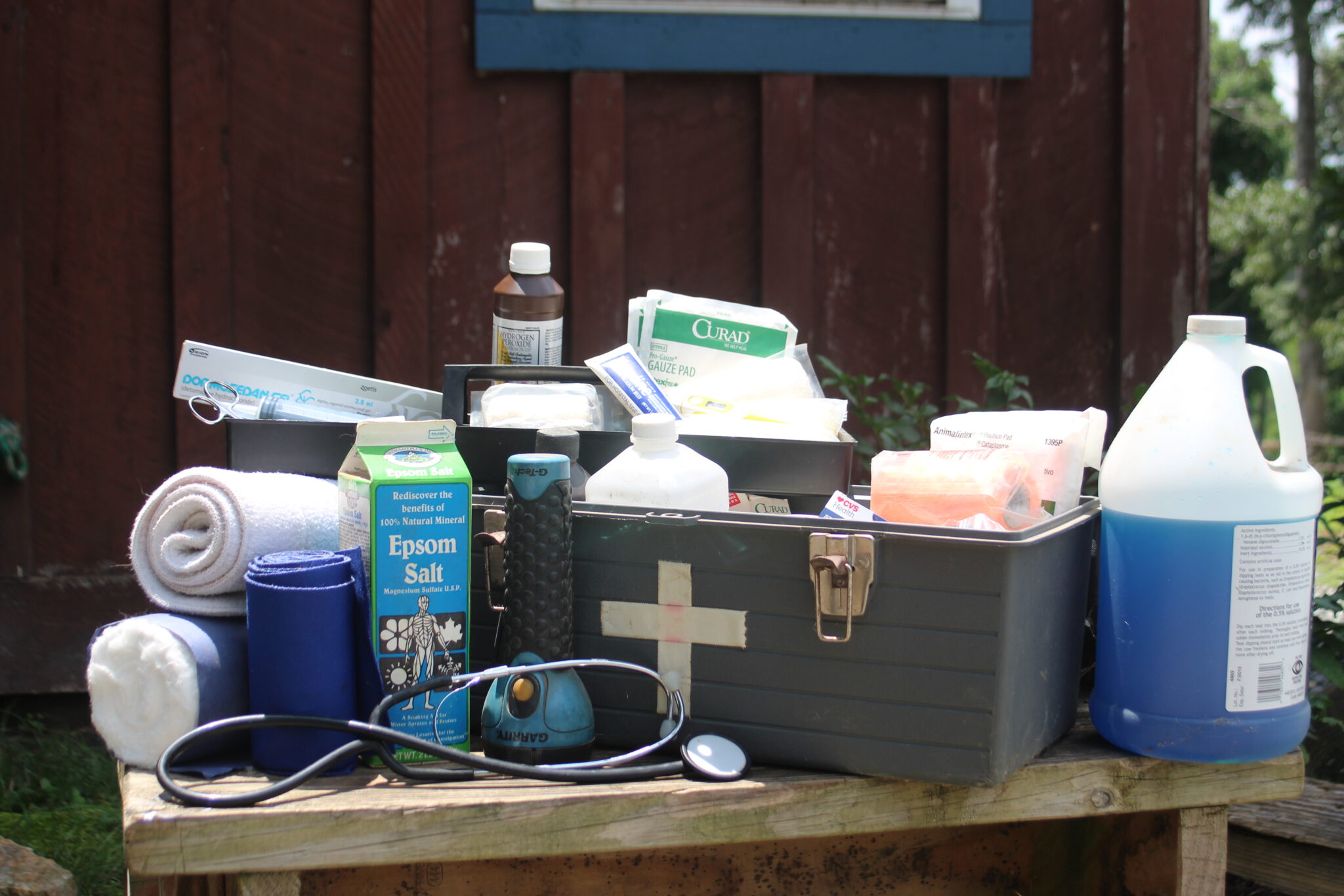 Equine First-Aid Essentials