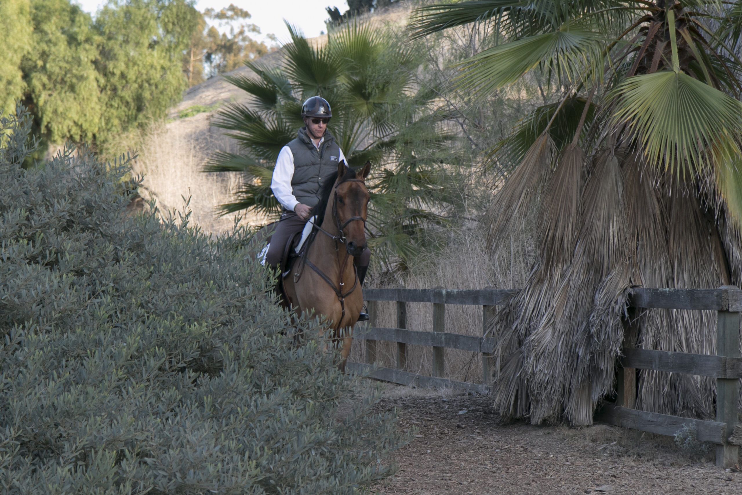 Lane Clarke: Training on the Trail