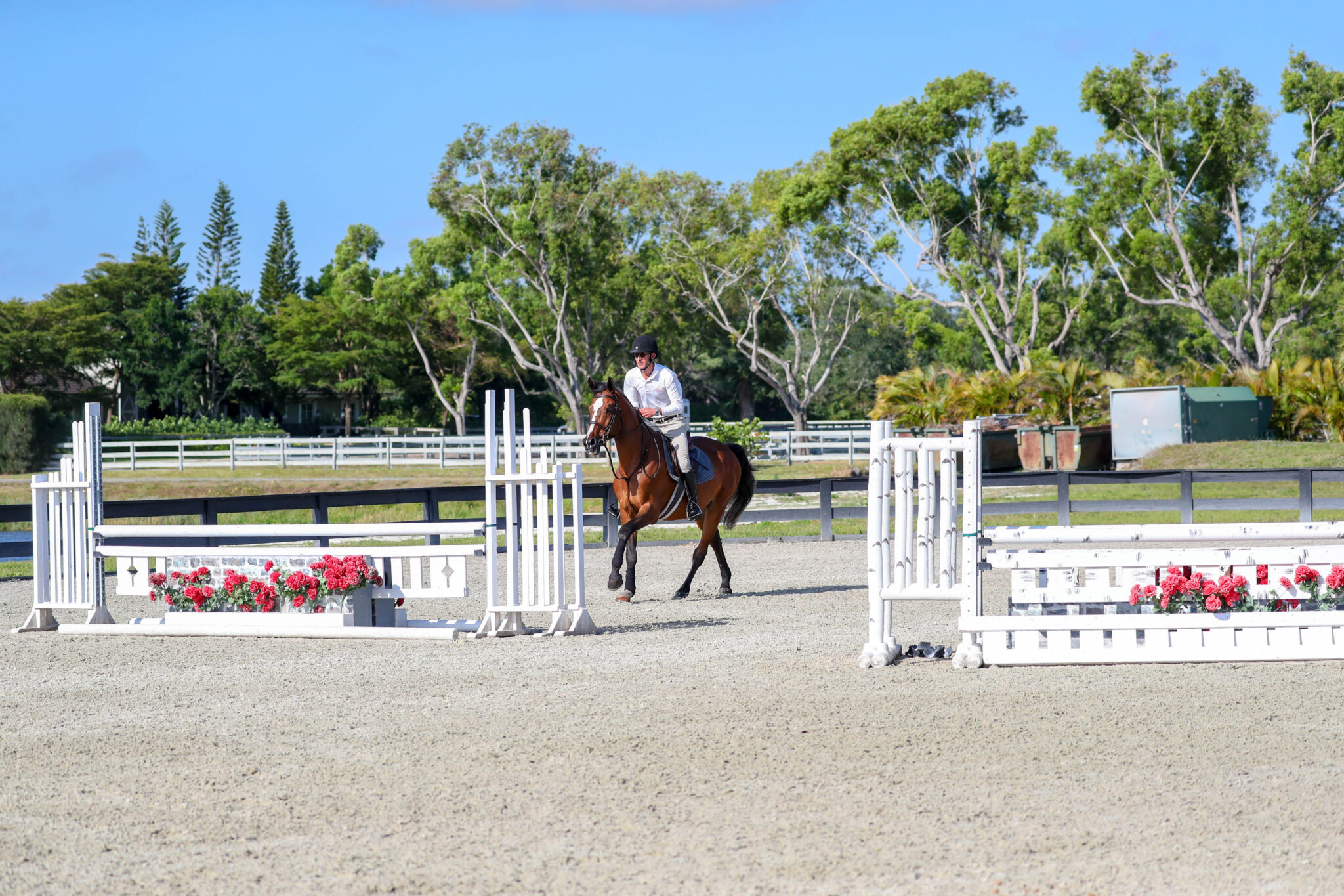 Confident Distances with Geoffrey Teall