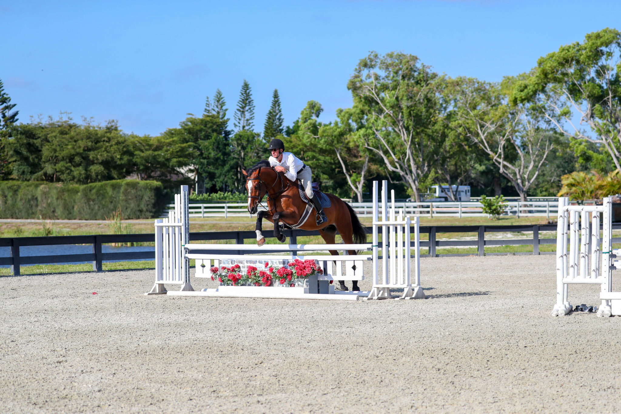 Confident Distances with Geoffrey Teall