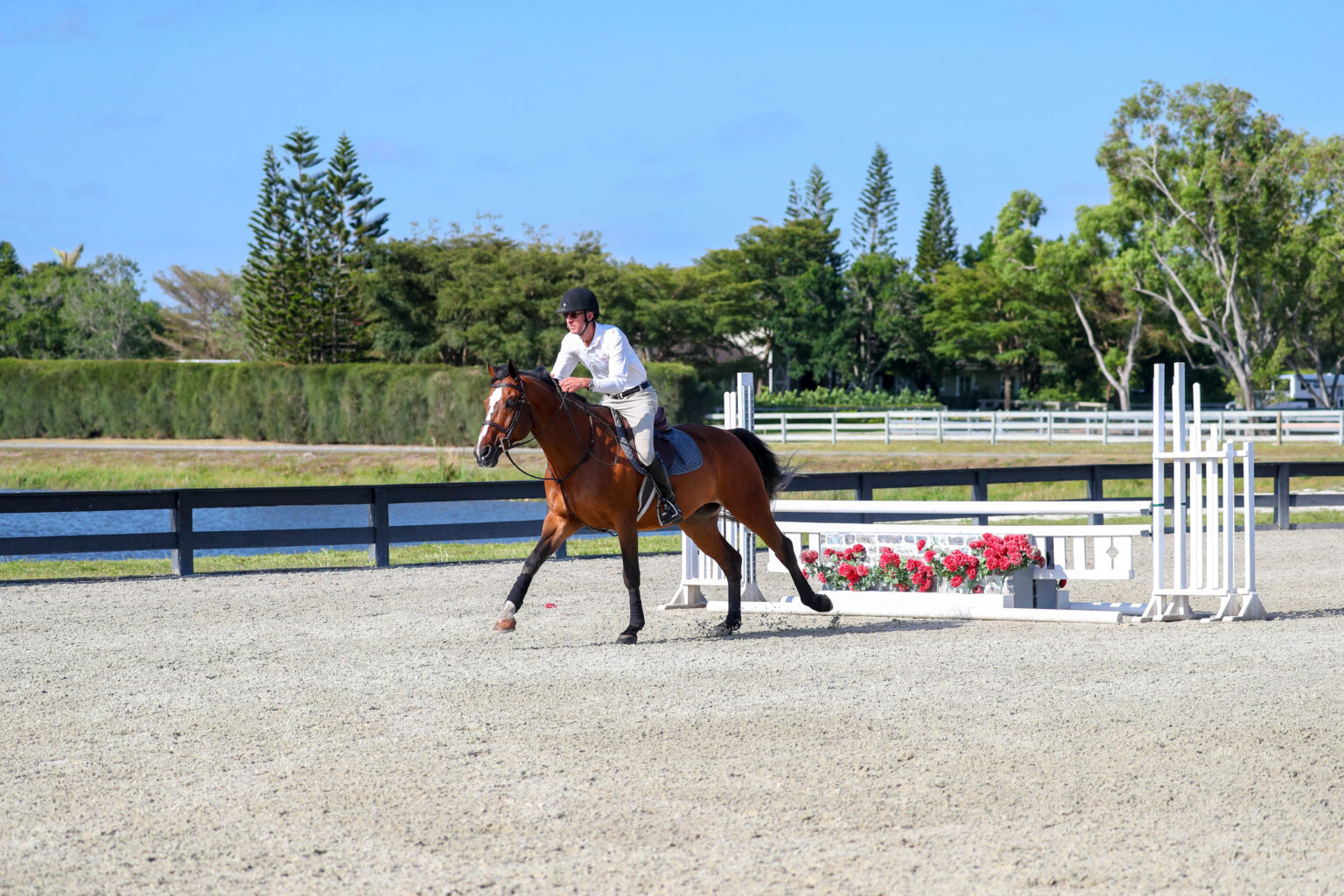 Confident Distances with Geoffrey Teall