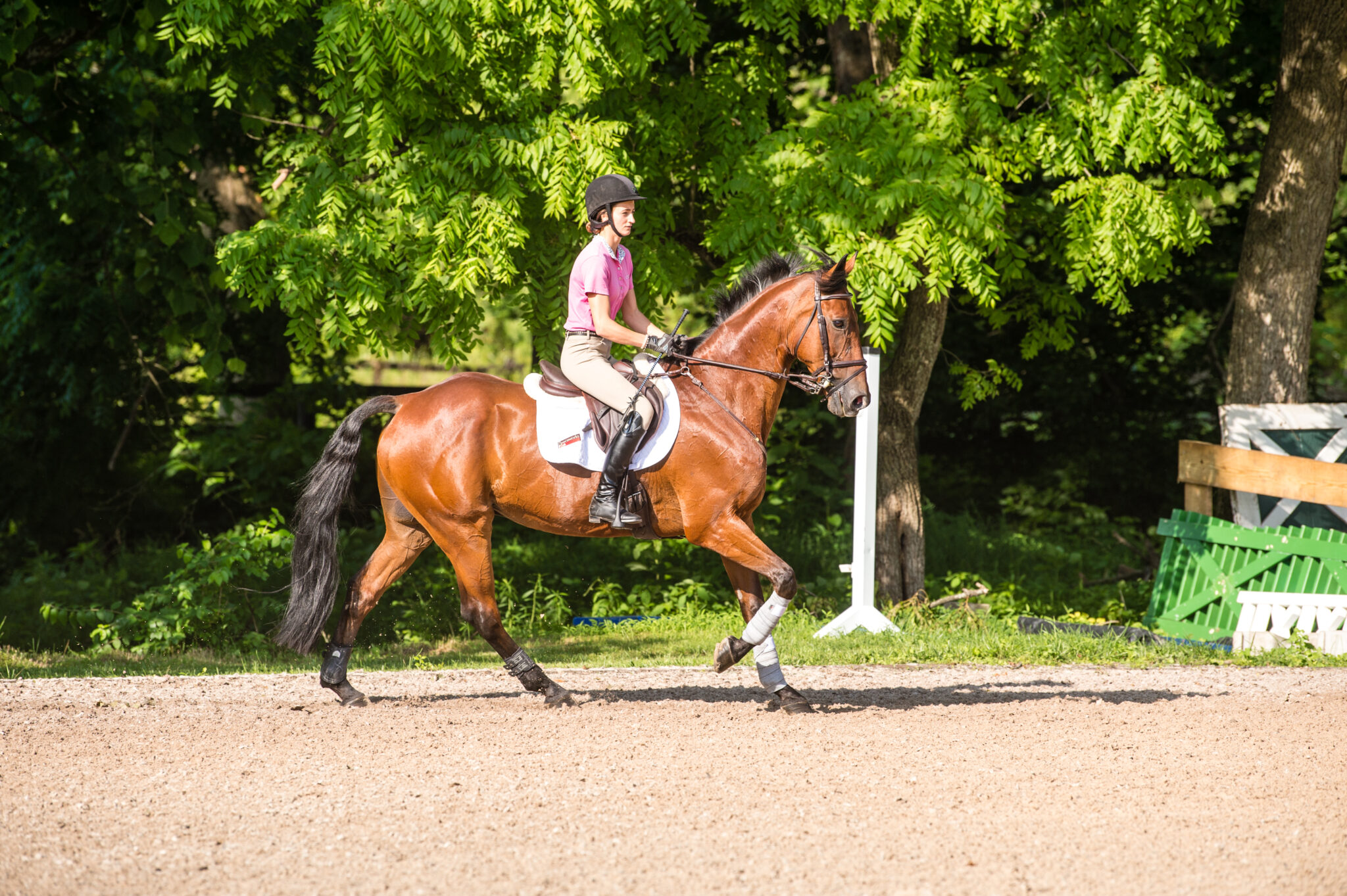 Sharpen Your Show-Jumping Skills