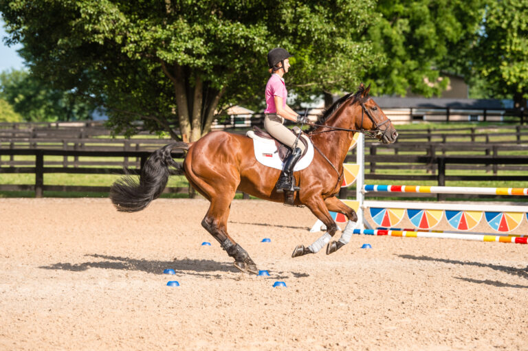 Sharpen Your Show-Jumping Skills