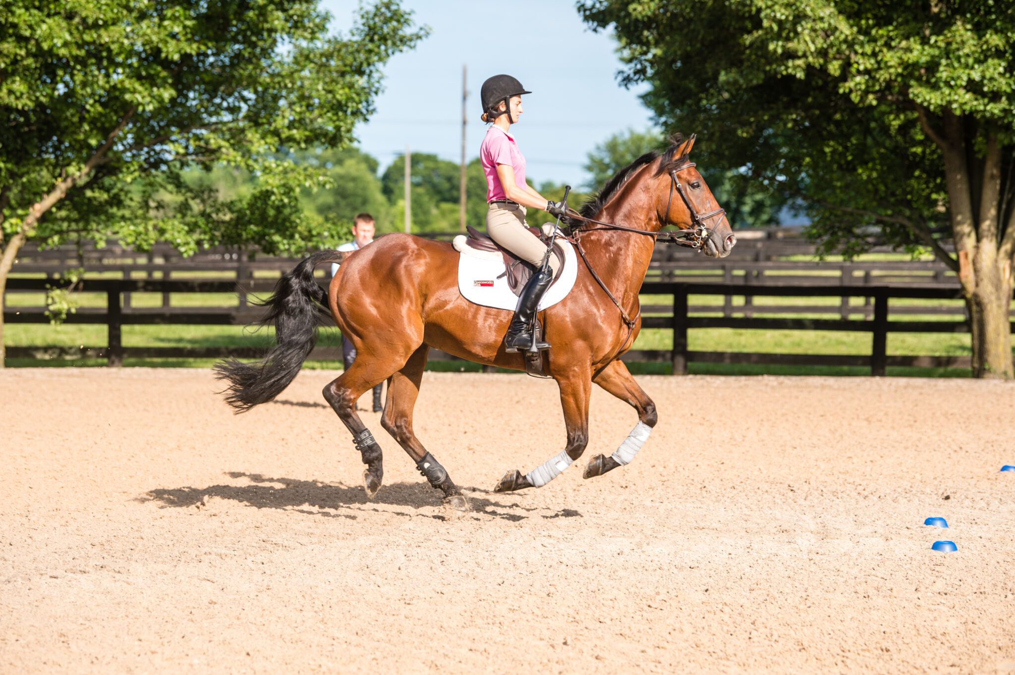 Sharpen Your Show-Jumping Skills
