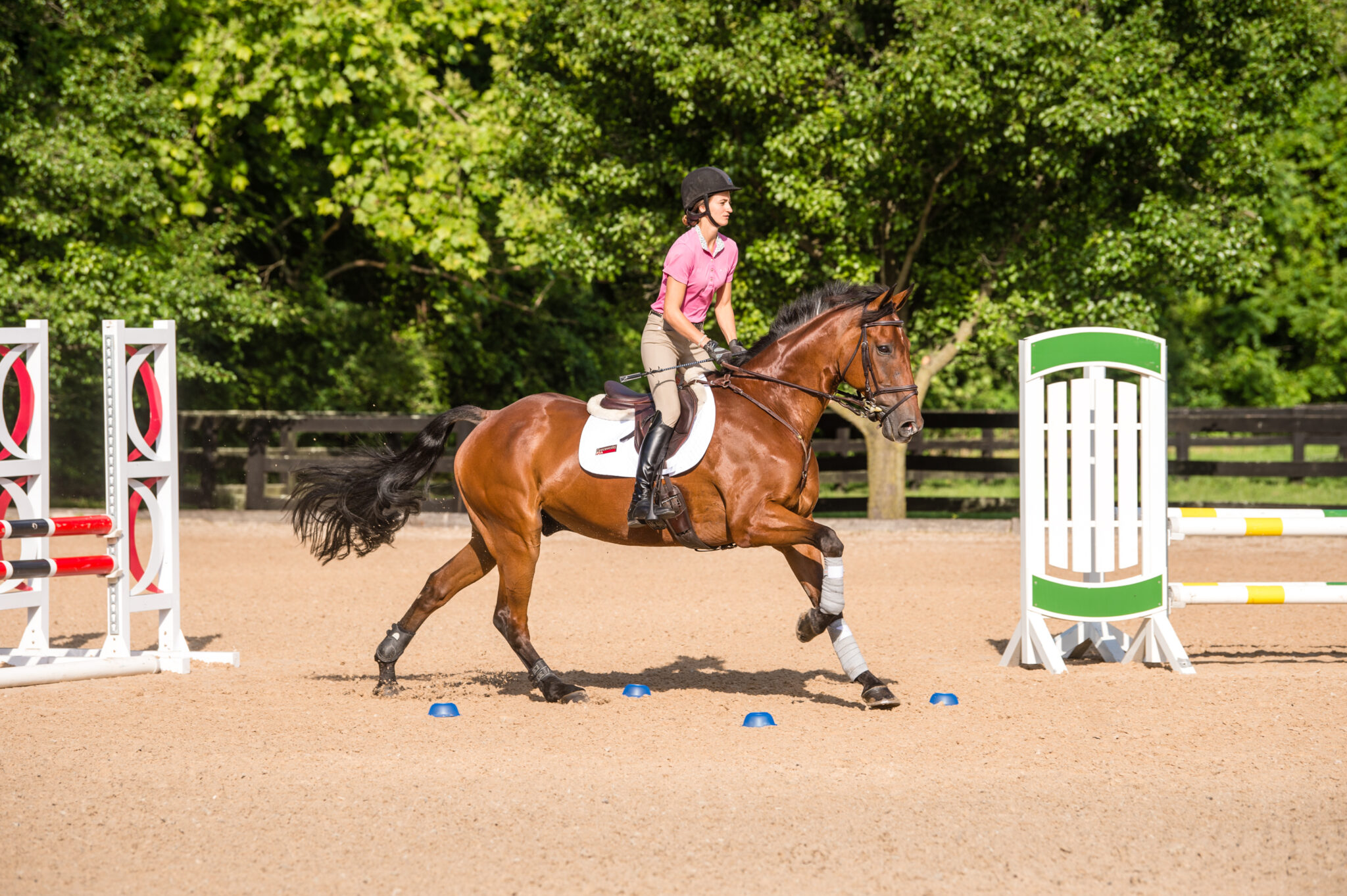 Sharpen Your Show-Jumping Skills