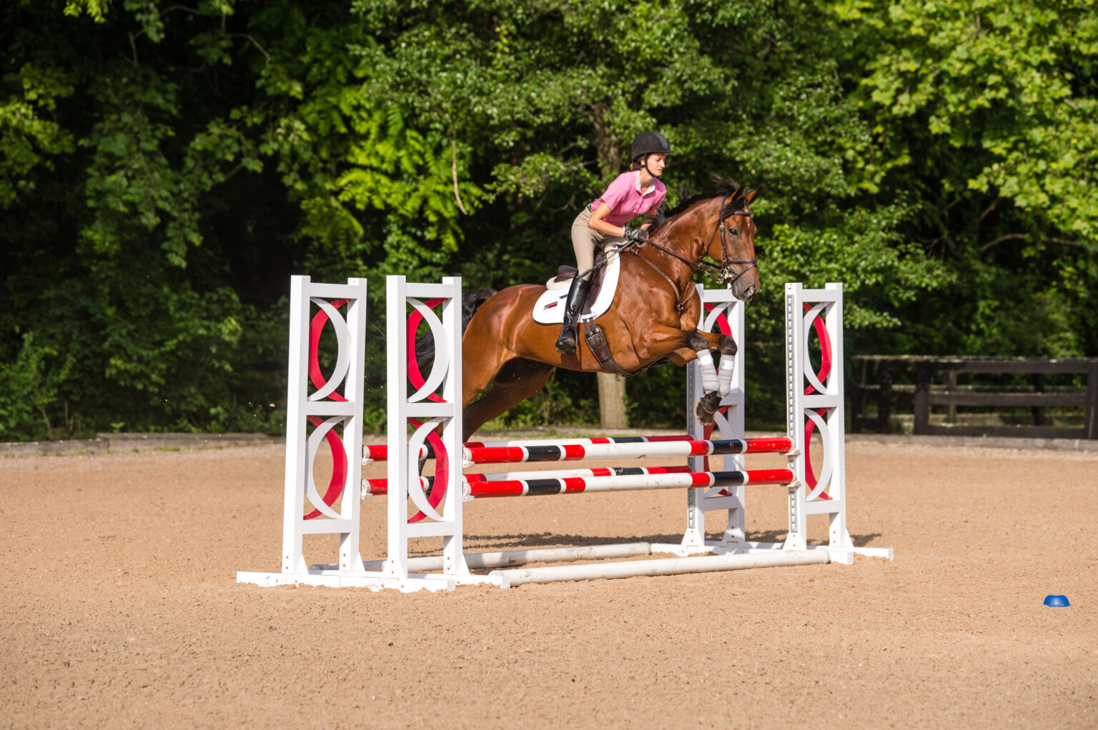 Sharpen Your Show-Jumping Skills