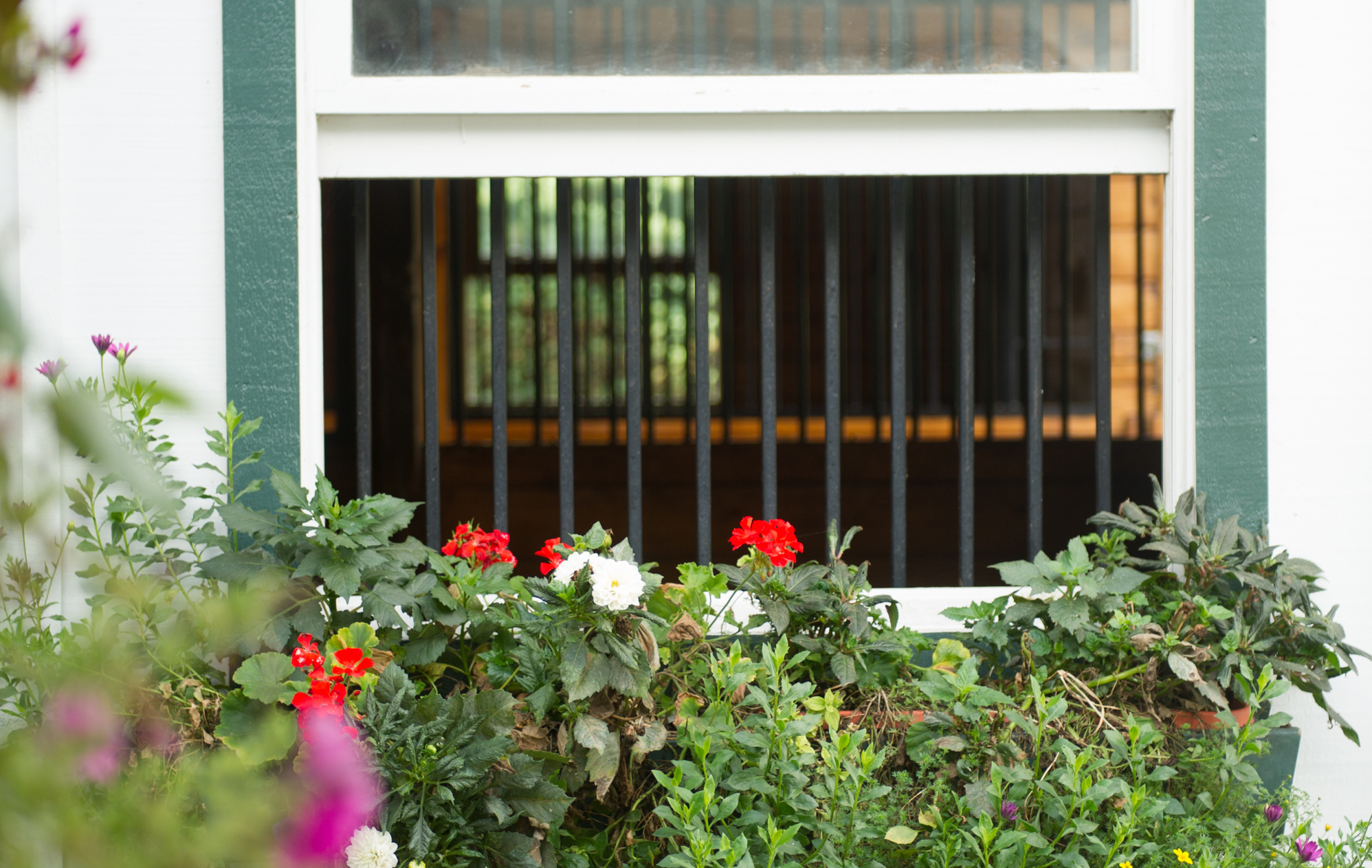 10 Tips to Spruce Up Your Barn This Spring