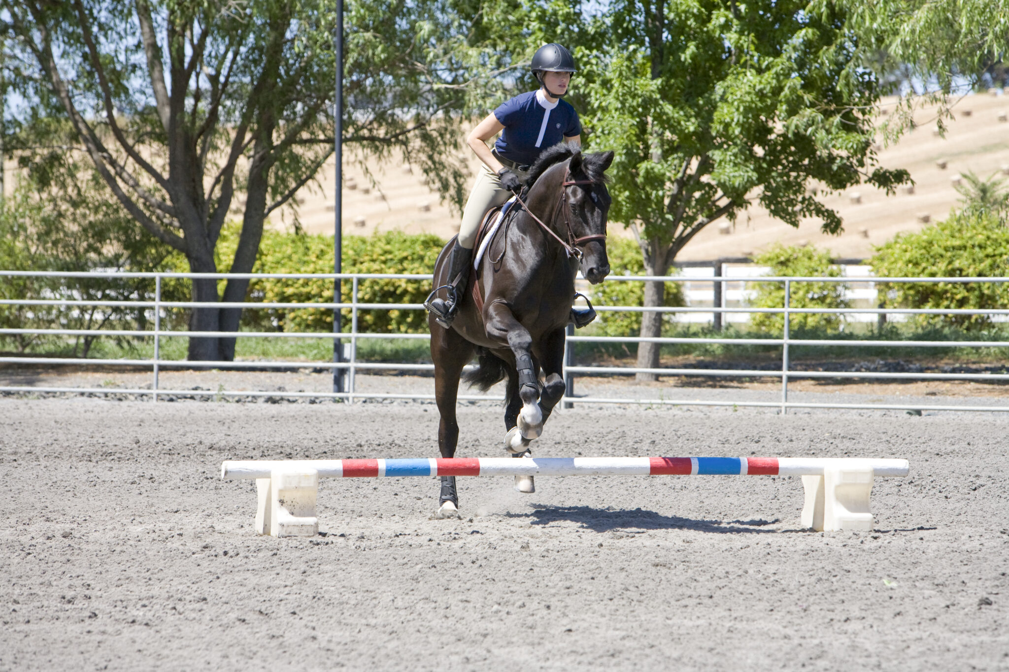 Training: A Grid for All Reasons