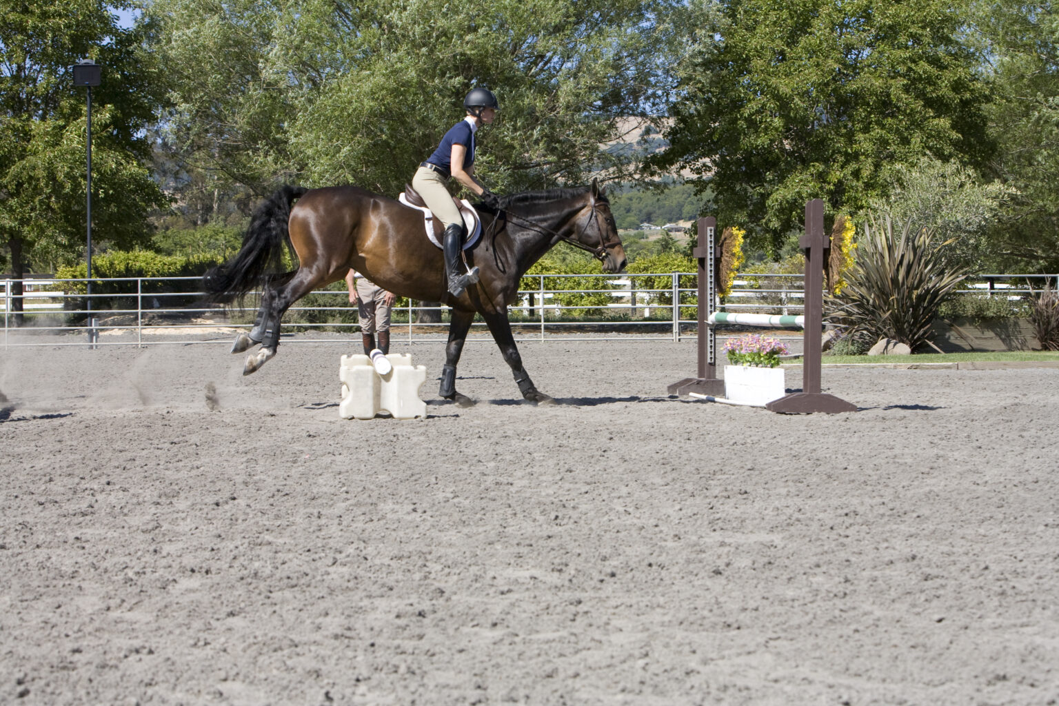 Training: A Grid for All Reasons