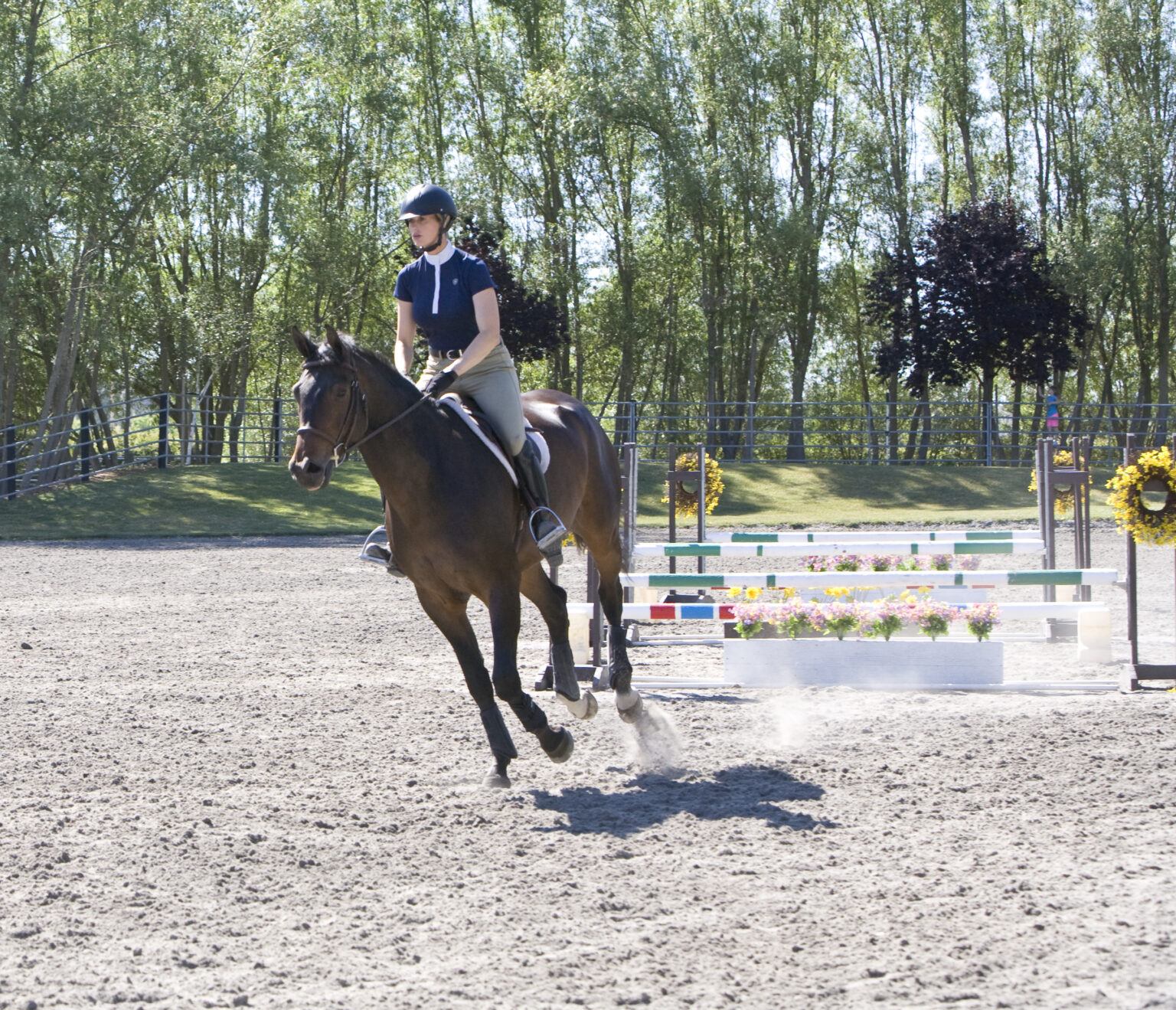 Training: A Grid for All Reasons