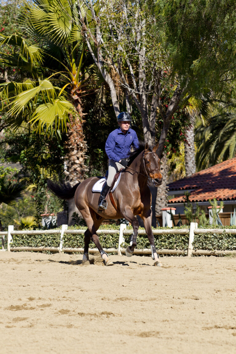 Training: To Sit or Not to Sit?