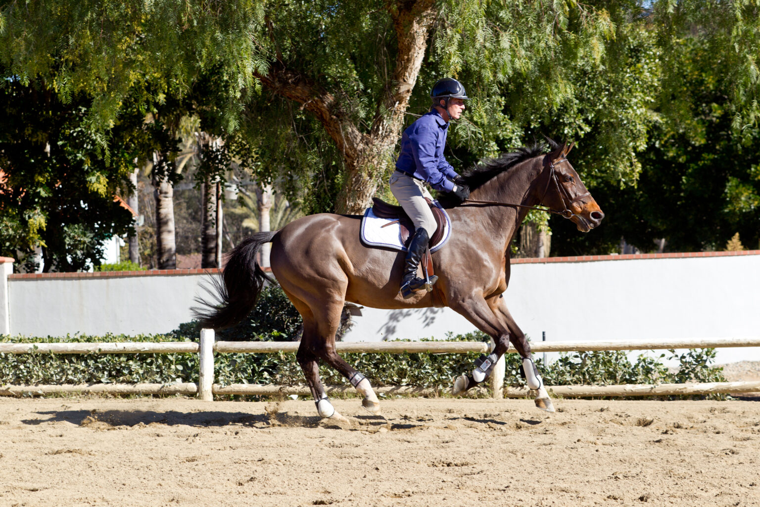 Training: To Sit or Not to Sit?