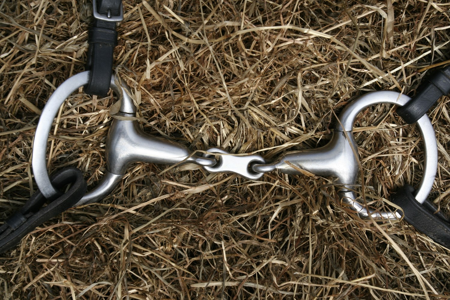 western snaffle bit types
