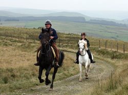 Cae Iago, West Wales