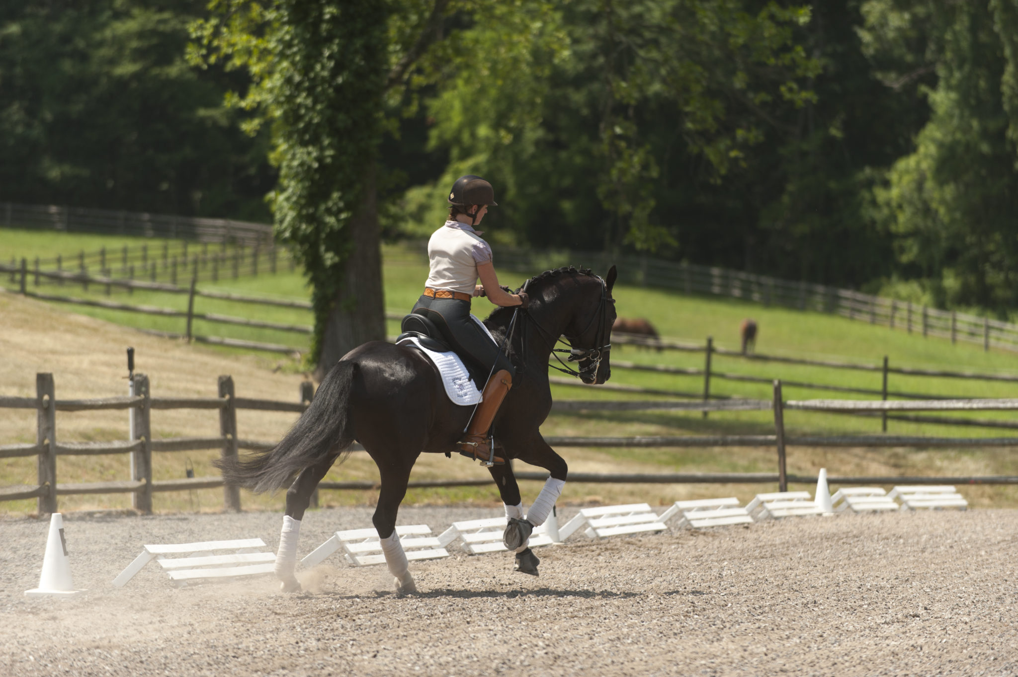 Take the FAST Out of Canter Lengthenings