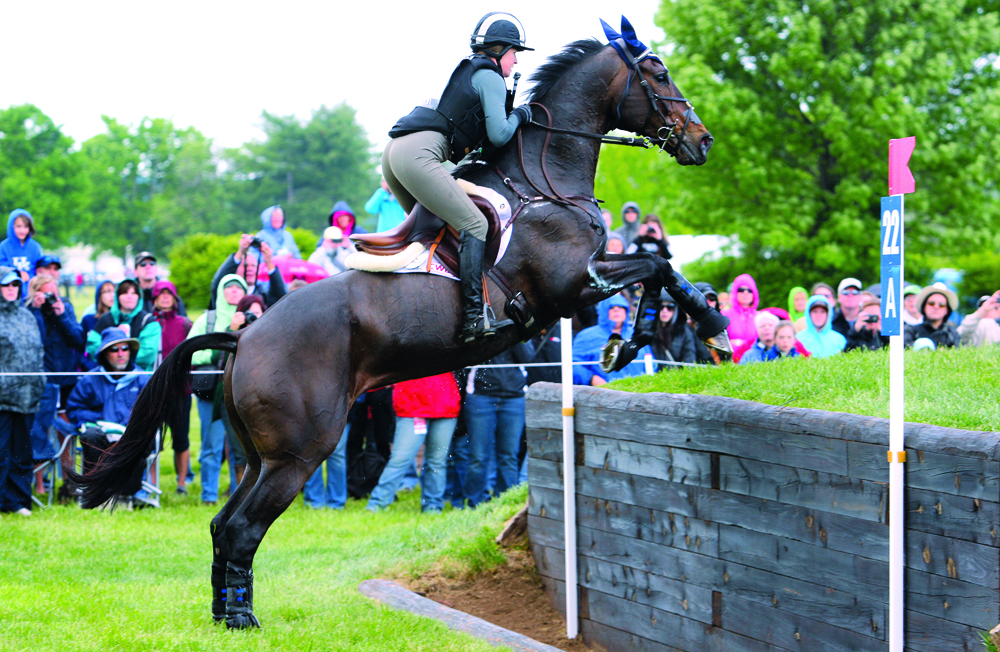 Cross Country Jumping Cross Country Horse Riding For Beginners: How To