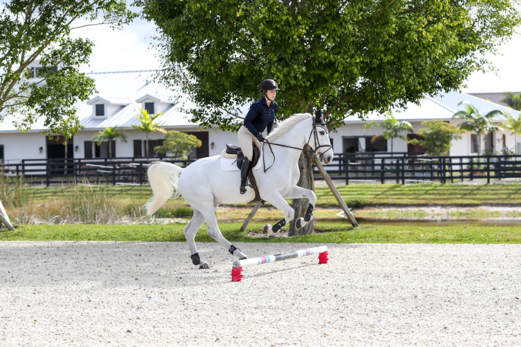The Right Canter for Every Situation