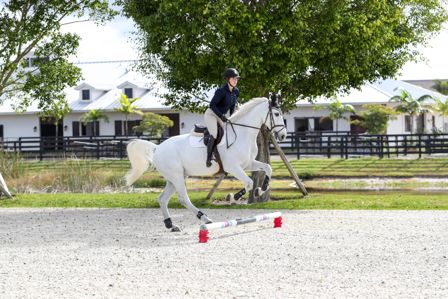 The Right Canter for Every Situation