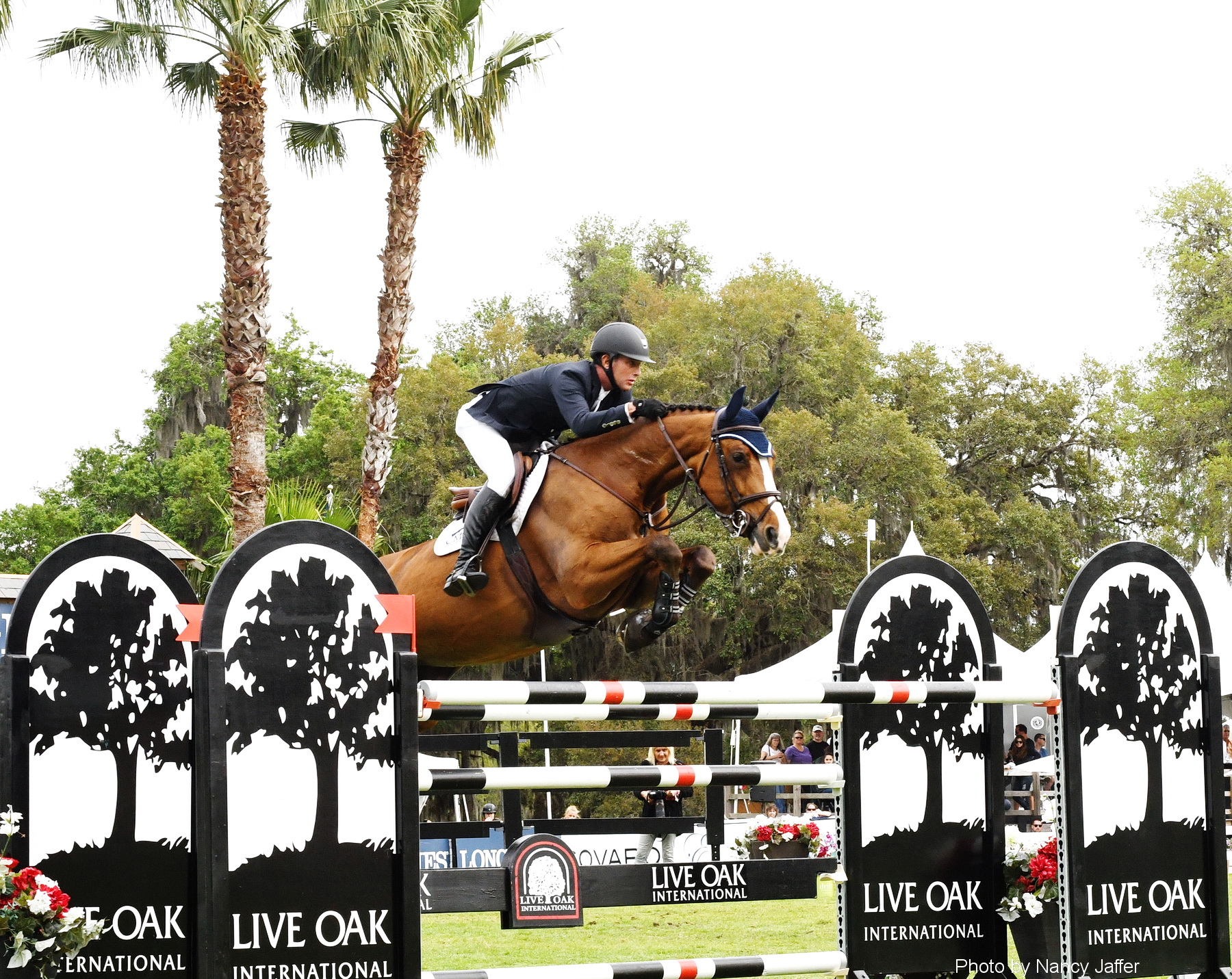 A Gymnastic Exercise from International Rider Charlie Jacobs