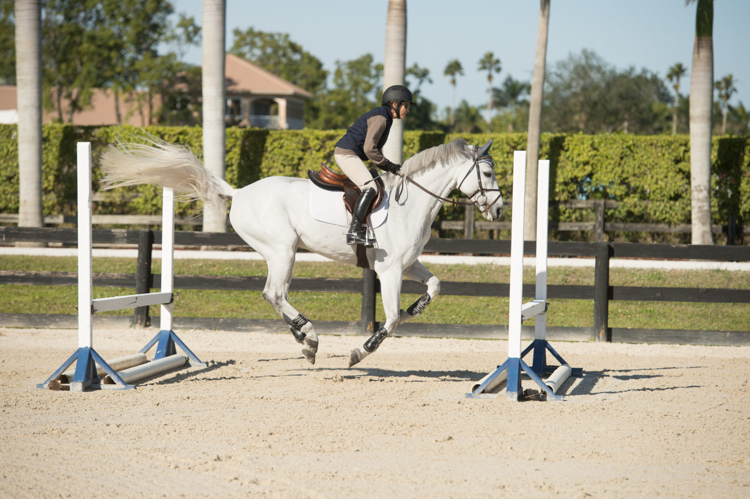 Margie Engle: Fit and Fun for Life