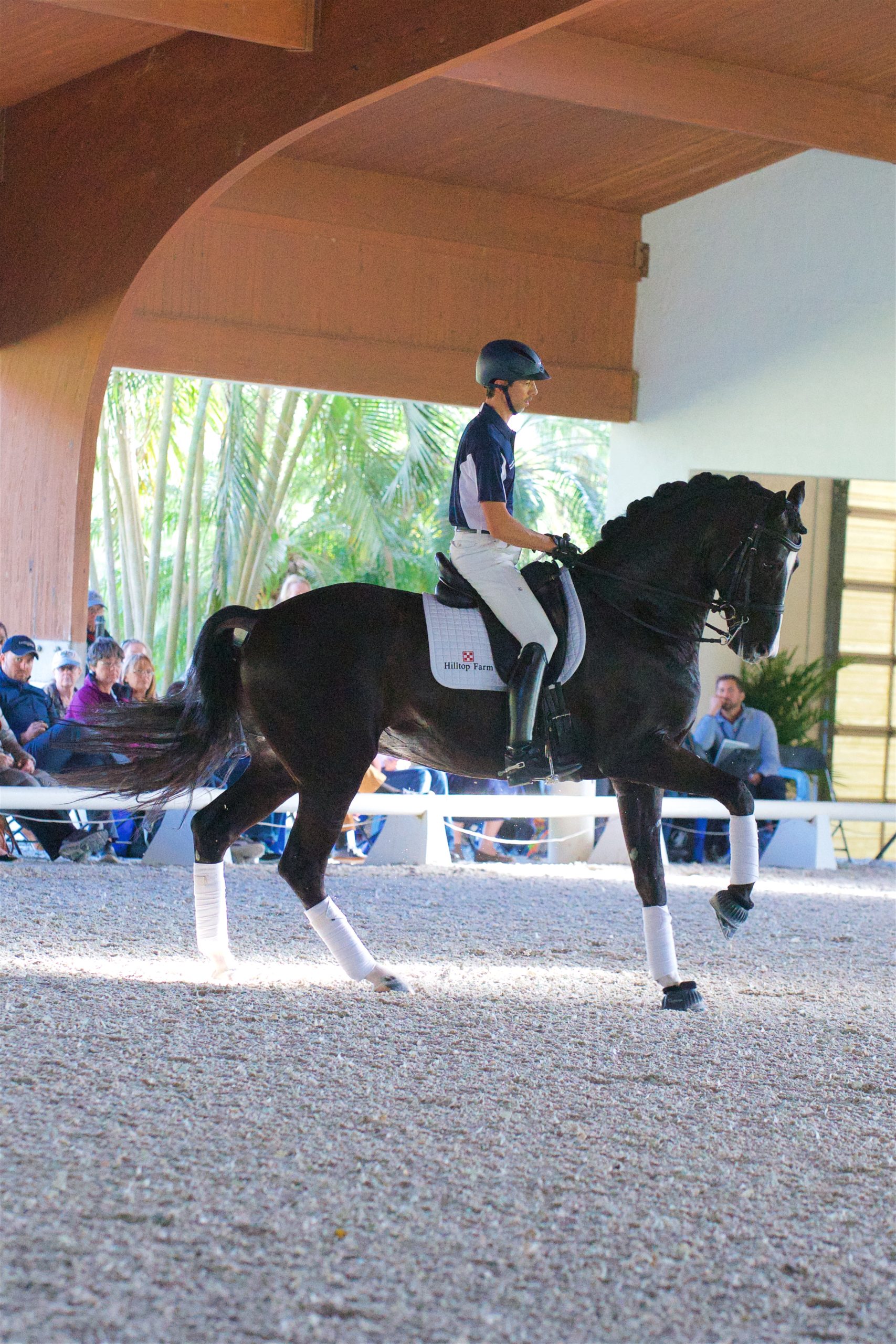 Jim Talks About the Cross-Country Course - Practical Horseman