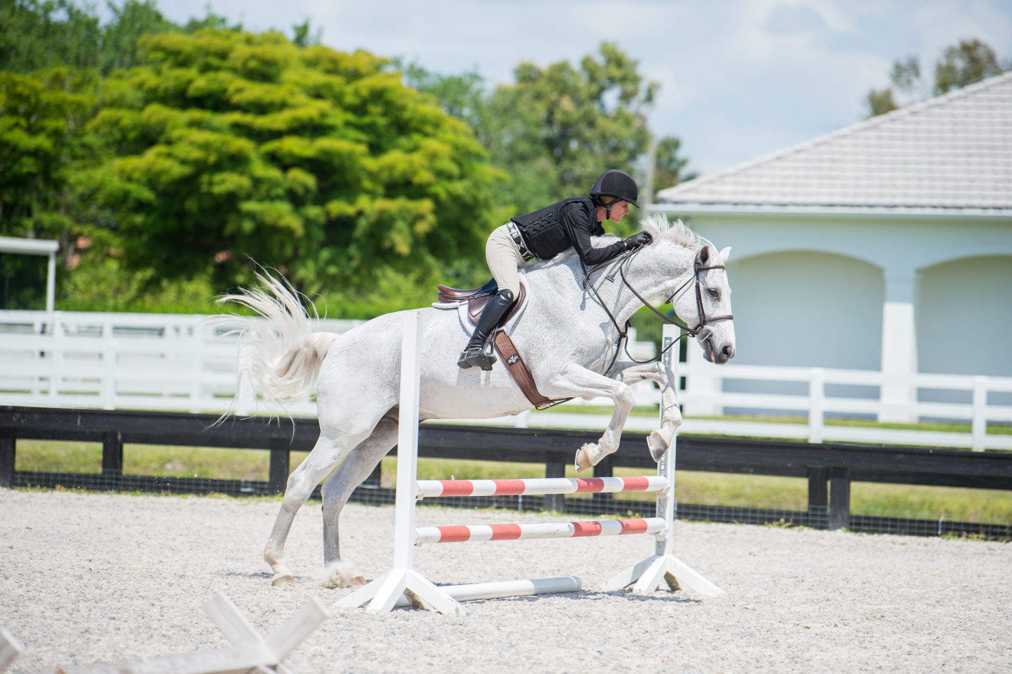 Hunter Riders: Equitation Counts!