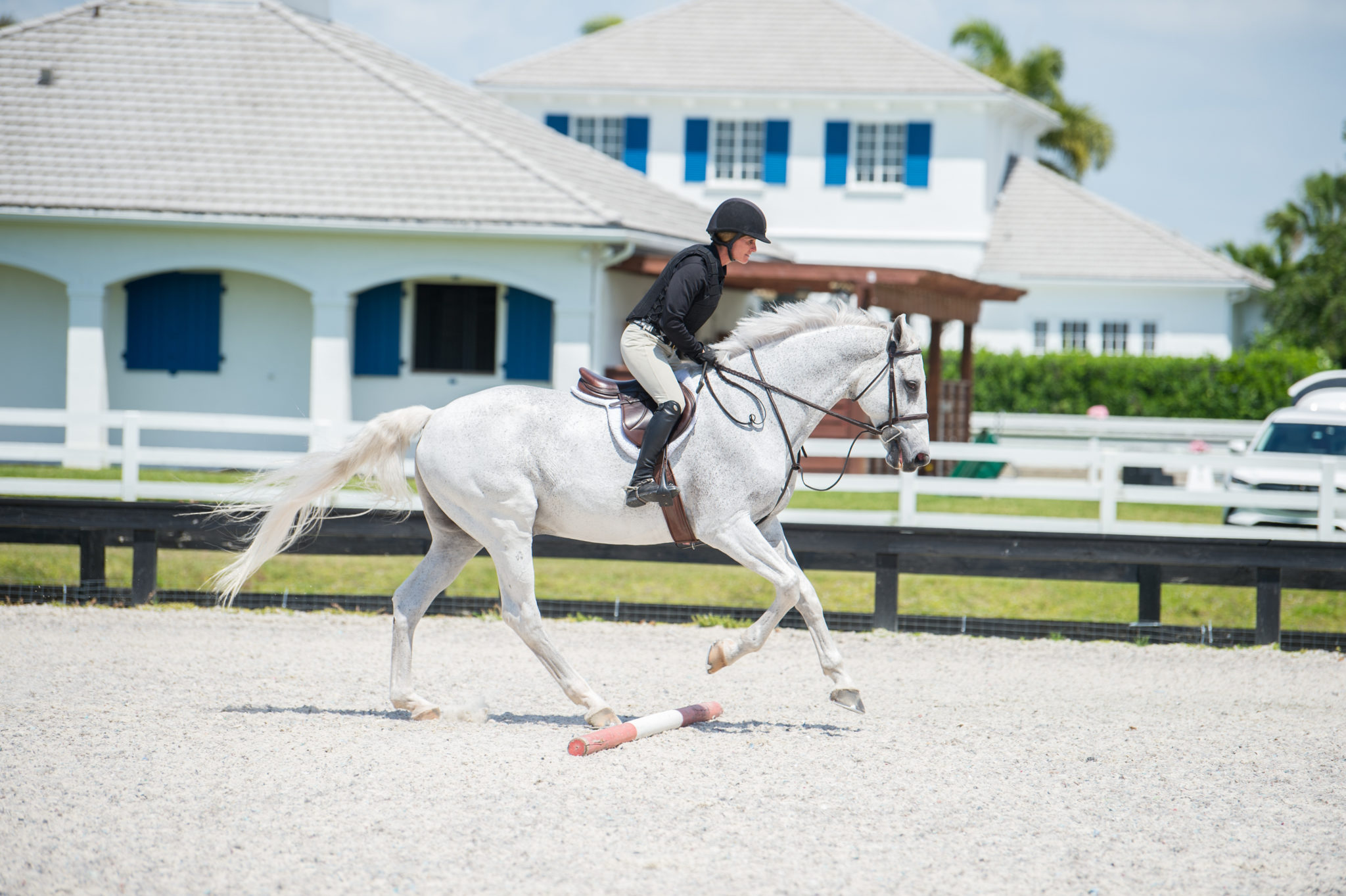 Hunter Riders: Equitation Counts!