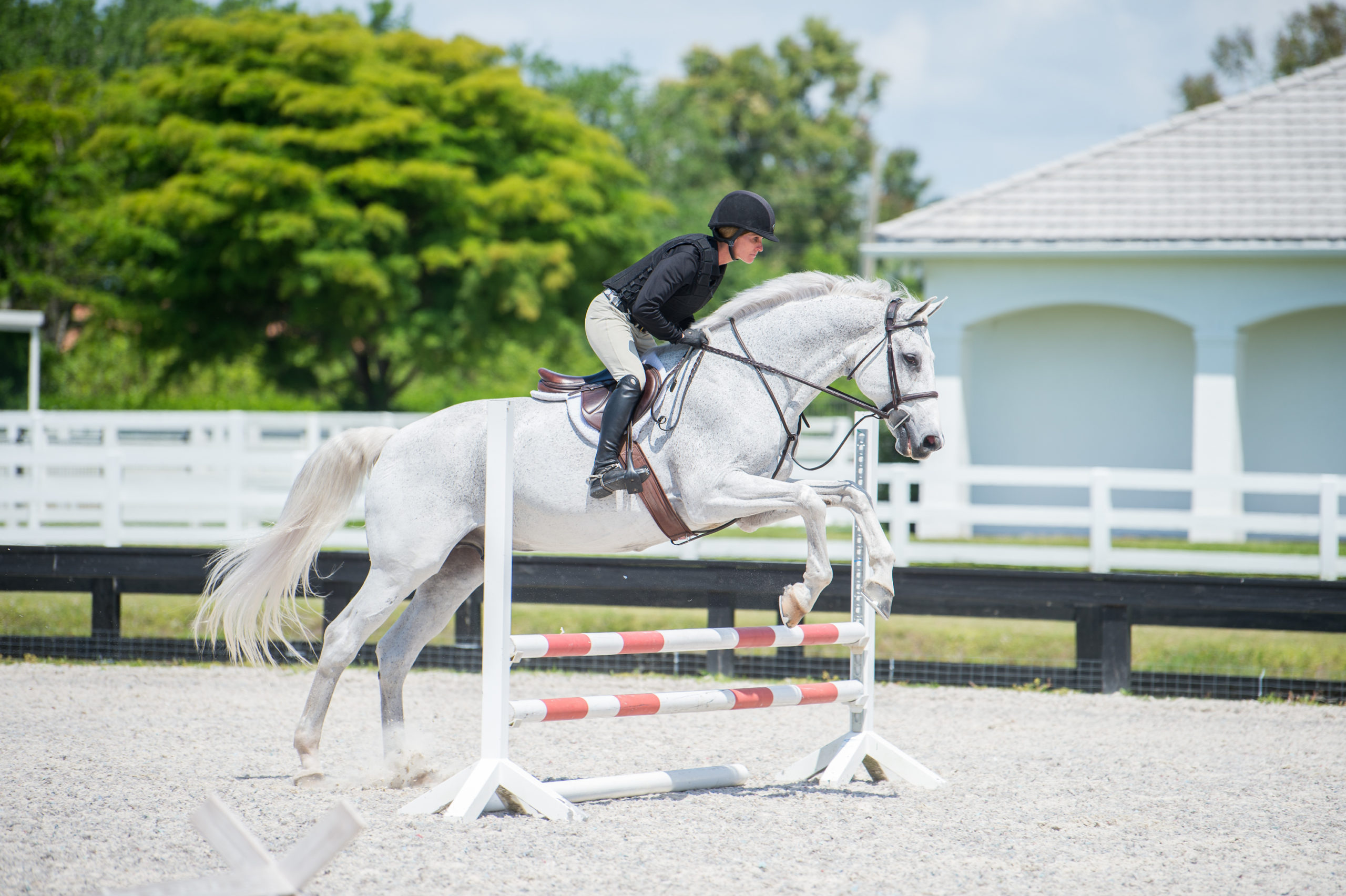 Hunter Riders: Equitation Counts!