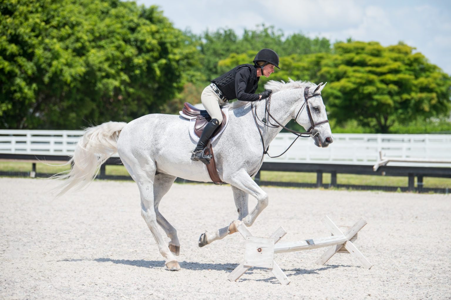 Hunter Riders: Equitation Counts!